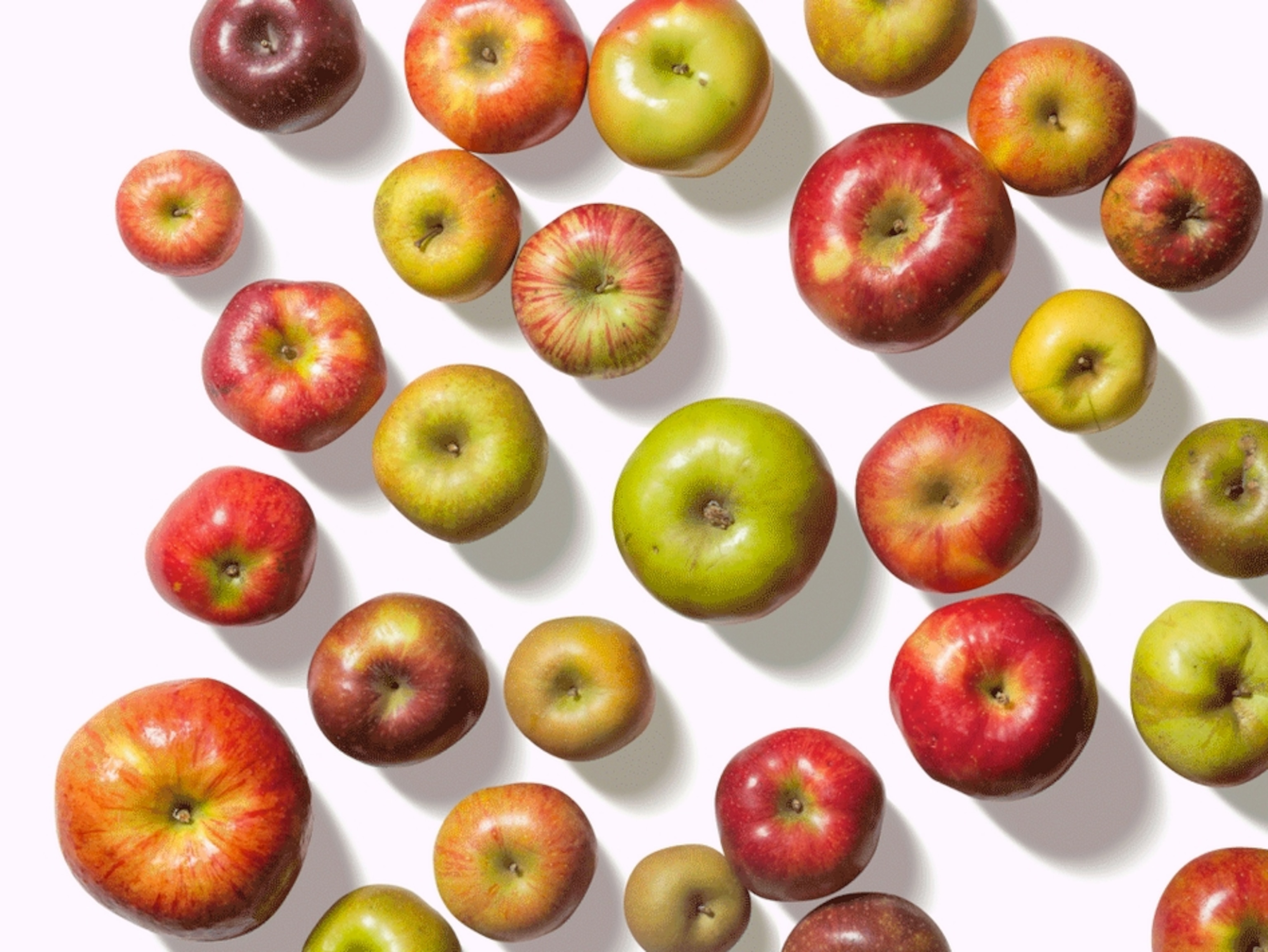 Beyond Delicious | National Geographic