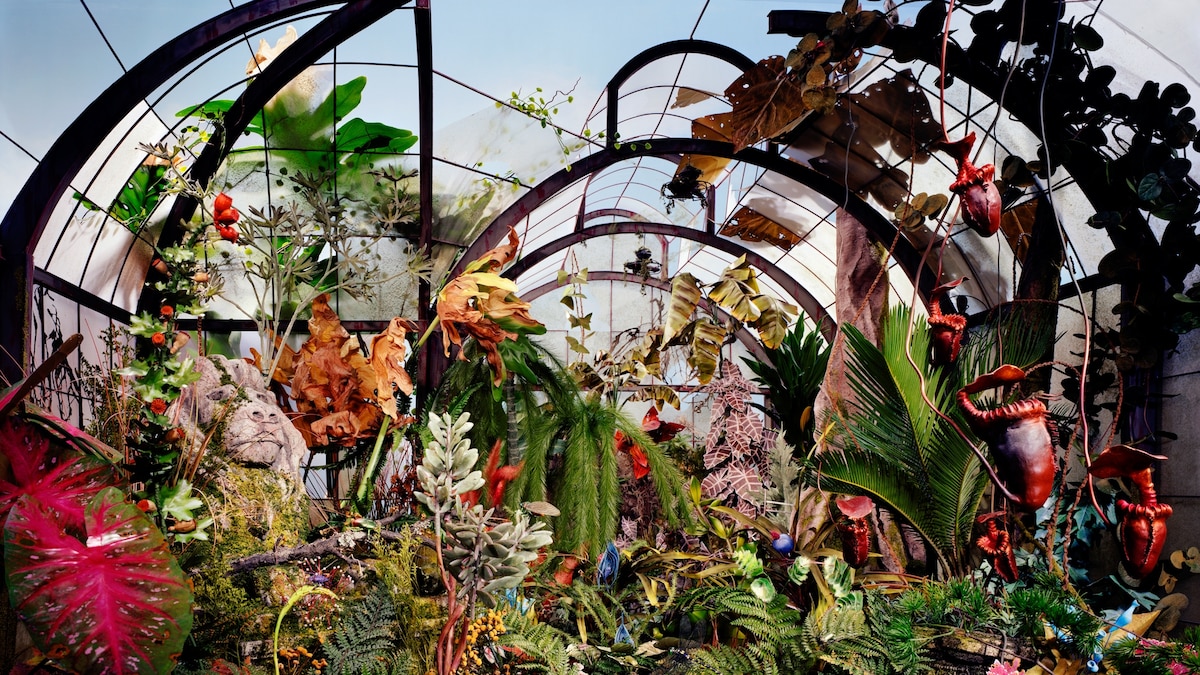 See an explosion of color in these 30 photos from the Nat Geo archives ...