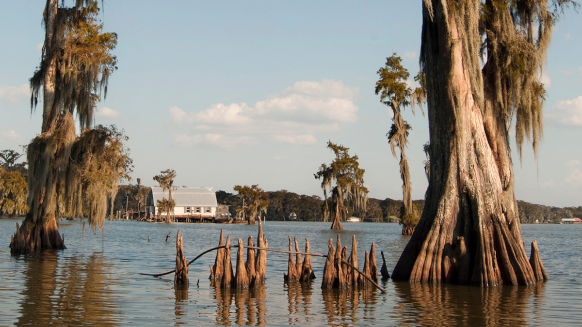 Ecotourism could help the ‘Amazon of North America’ recover. Here’s how ...