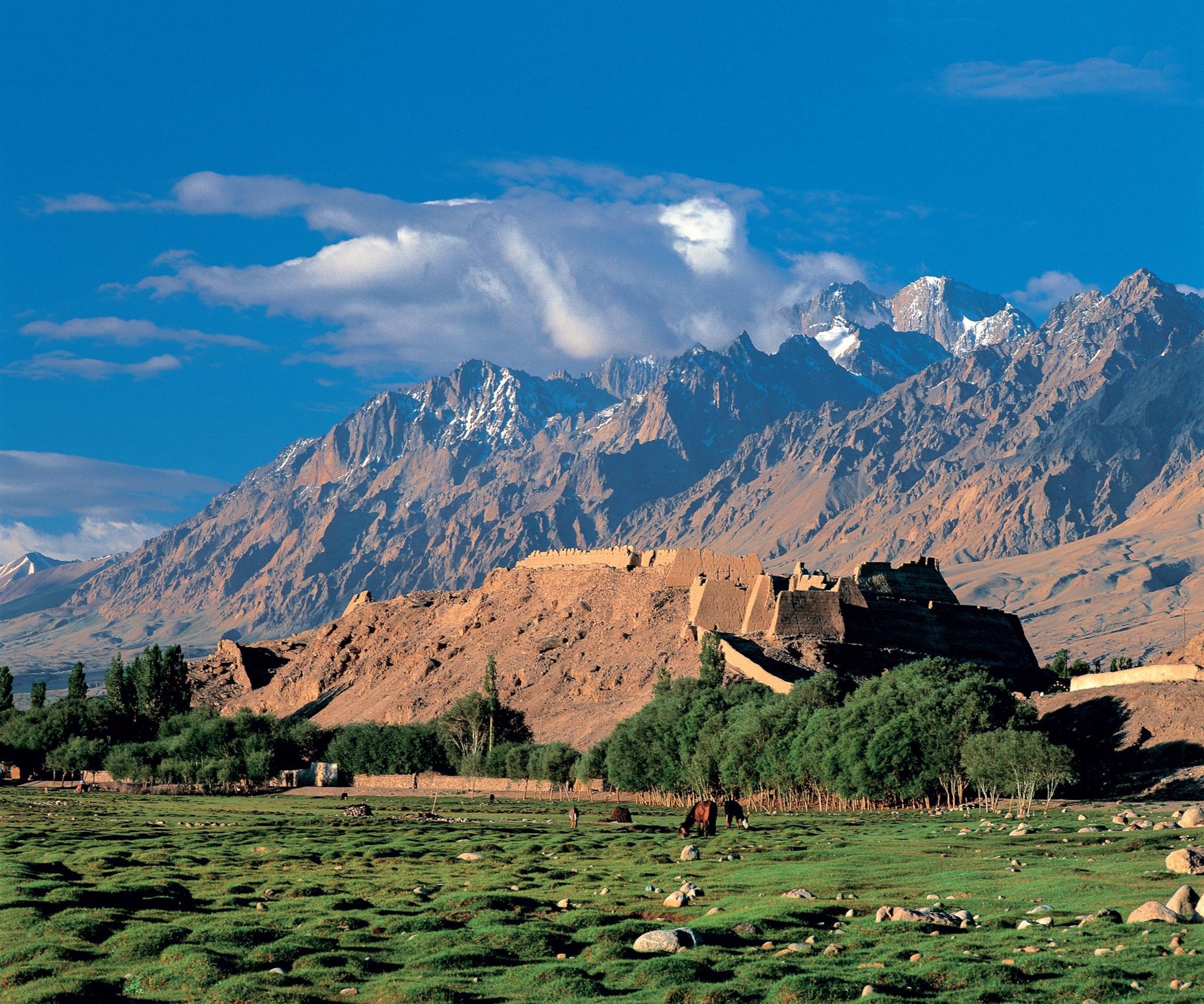 Trading Silk for Horses: The Surprisingly Simple Origins of the Silk Road