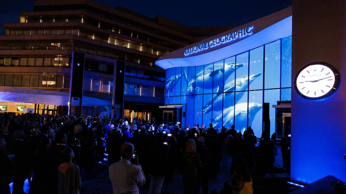 Inside National Geographic’s brand-new Museum of Exploration | National ...