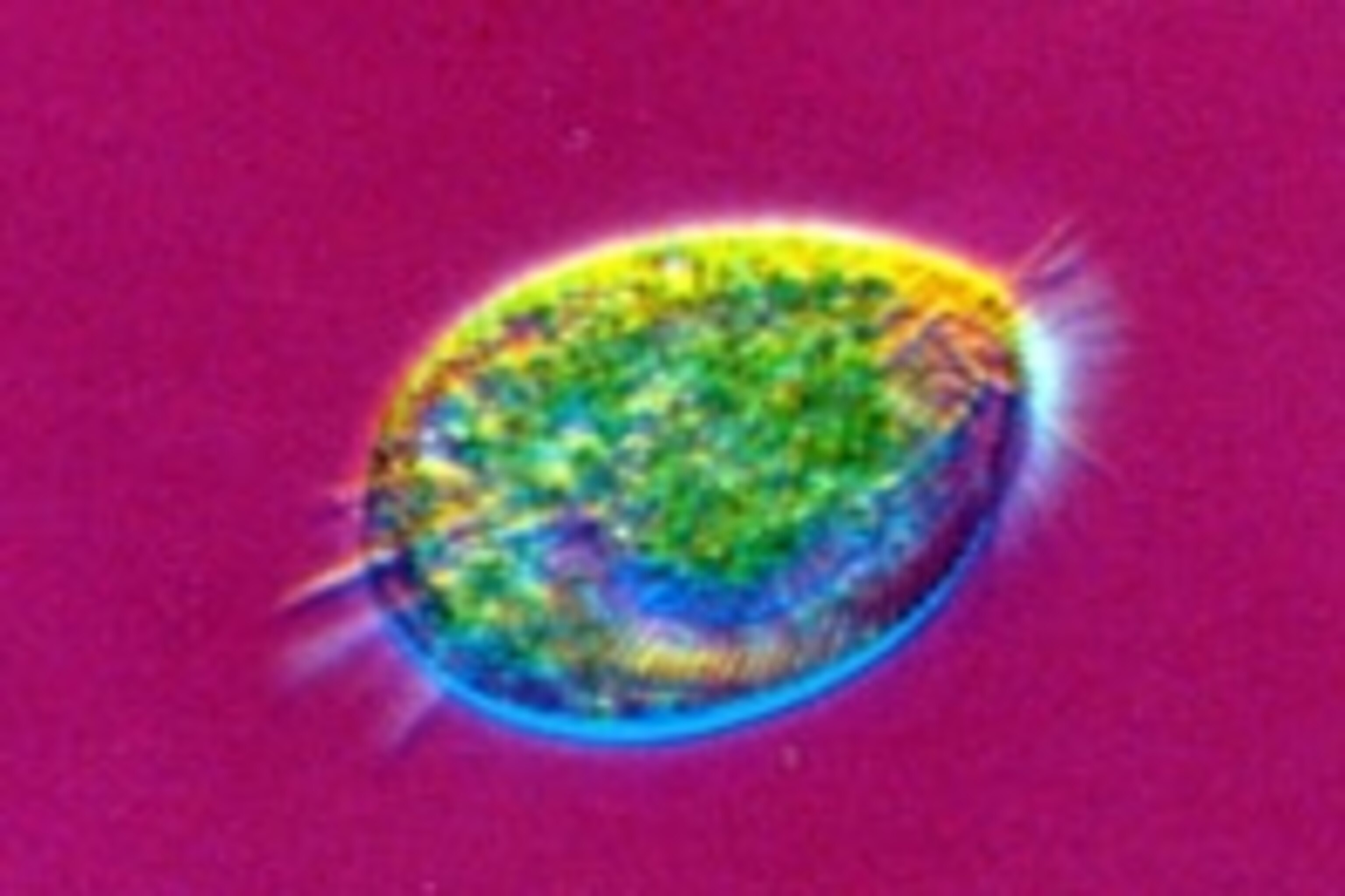 One codon, two amino acids – the genetic code has a Shift key