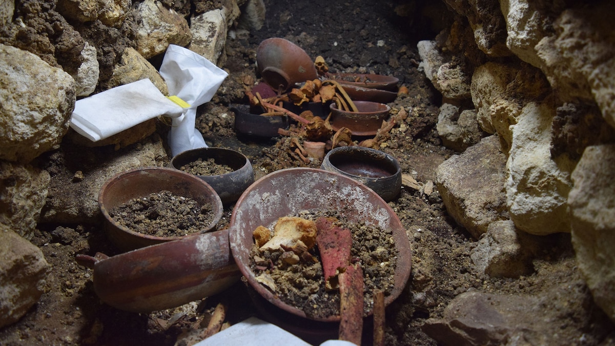 Ancient Maya King Found in 'Centipede Dynasty' Tomb | National Geographic