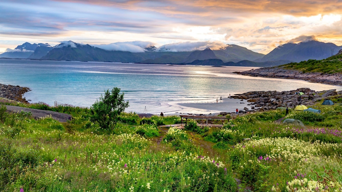 Exploring Norway’s culinary coastline | National Geographic