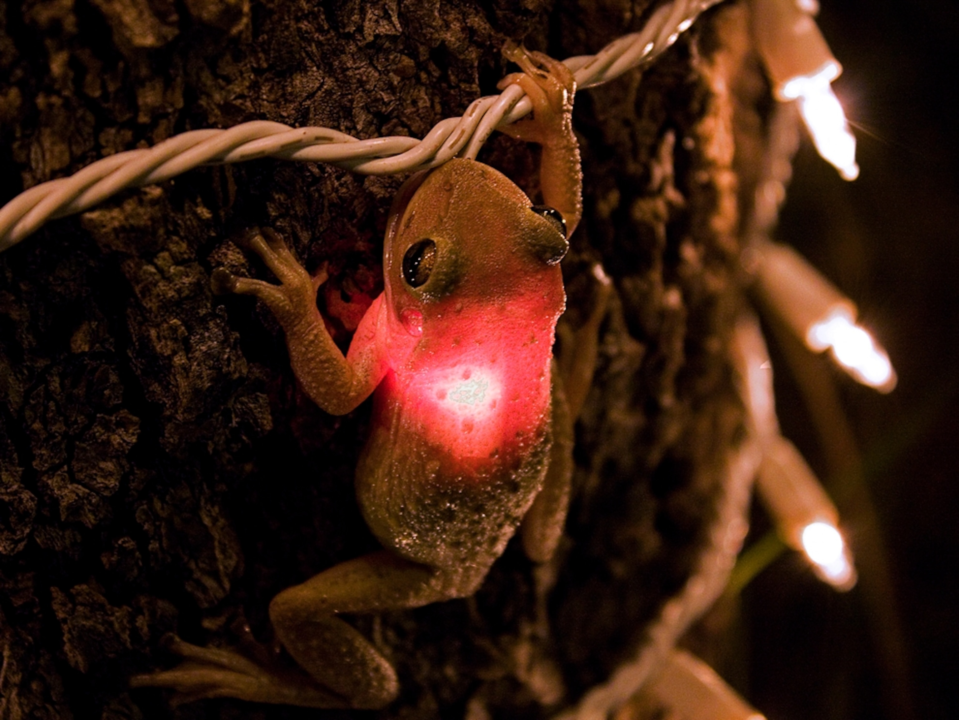 Photo of the Day: Best of August 2009, Photo Gallery - National Geographic