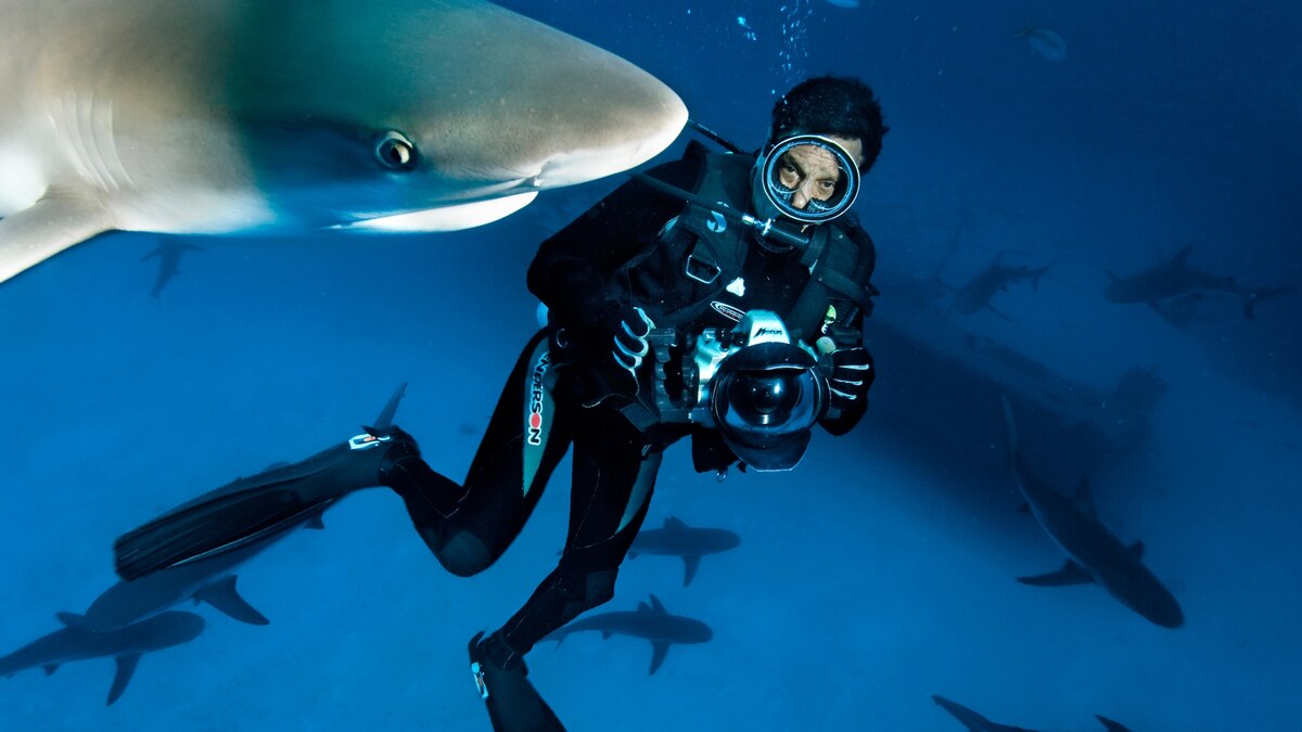 Rolex Partners With National Geographic on Vital Mission | National ...