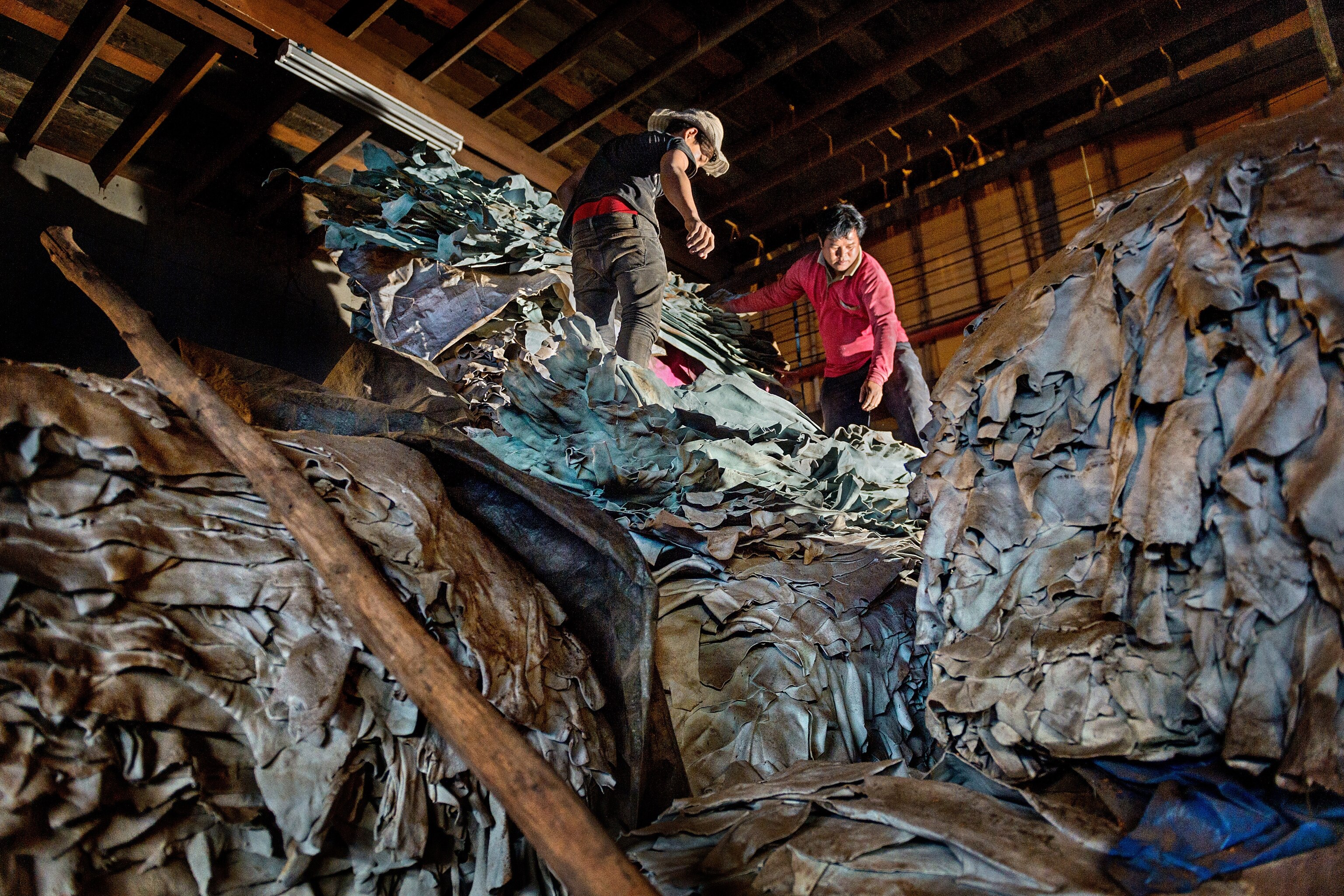 Why Fur Is Back in Fashion