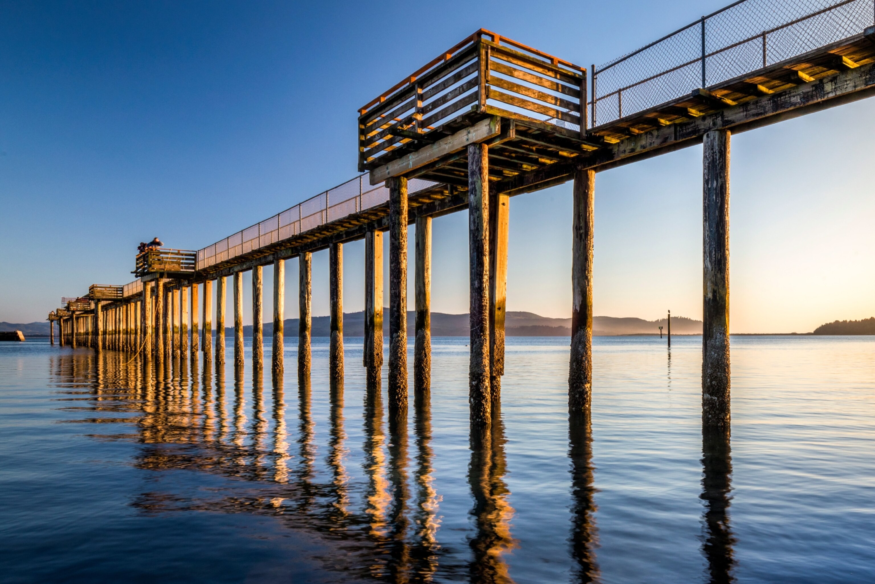 Explore the Oregon Coast—but don’t touch the ‘dragon toes’