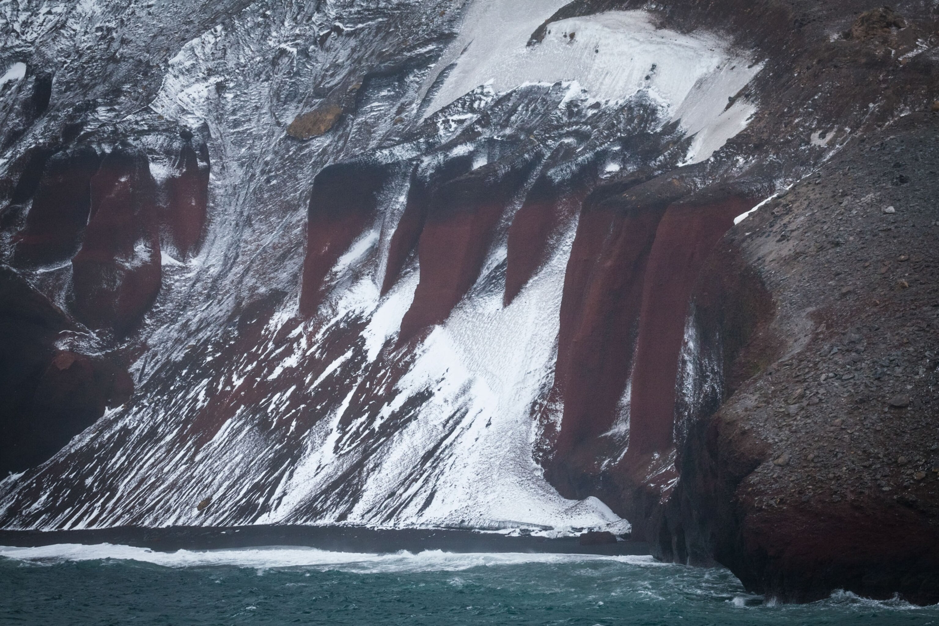 Deception Island Volcano in Antarctica Is Full of Wildlife