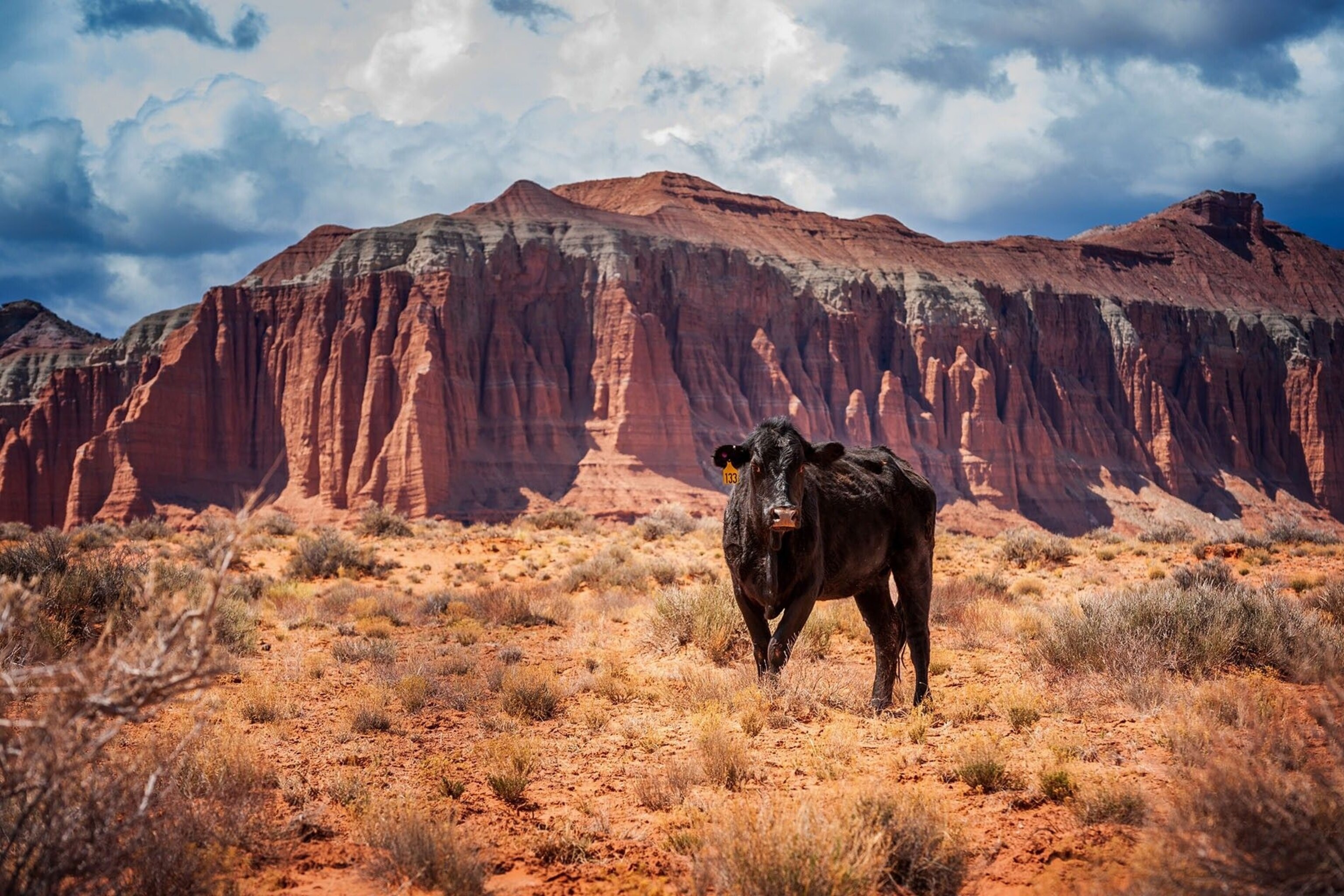 Road-tripping through Utah's otherworldly landscapes on the ultimate ...