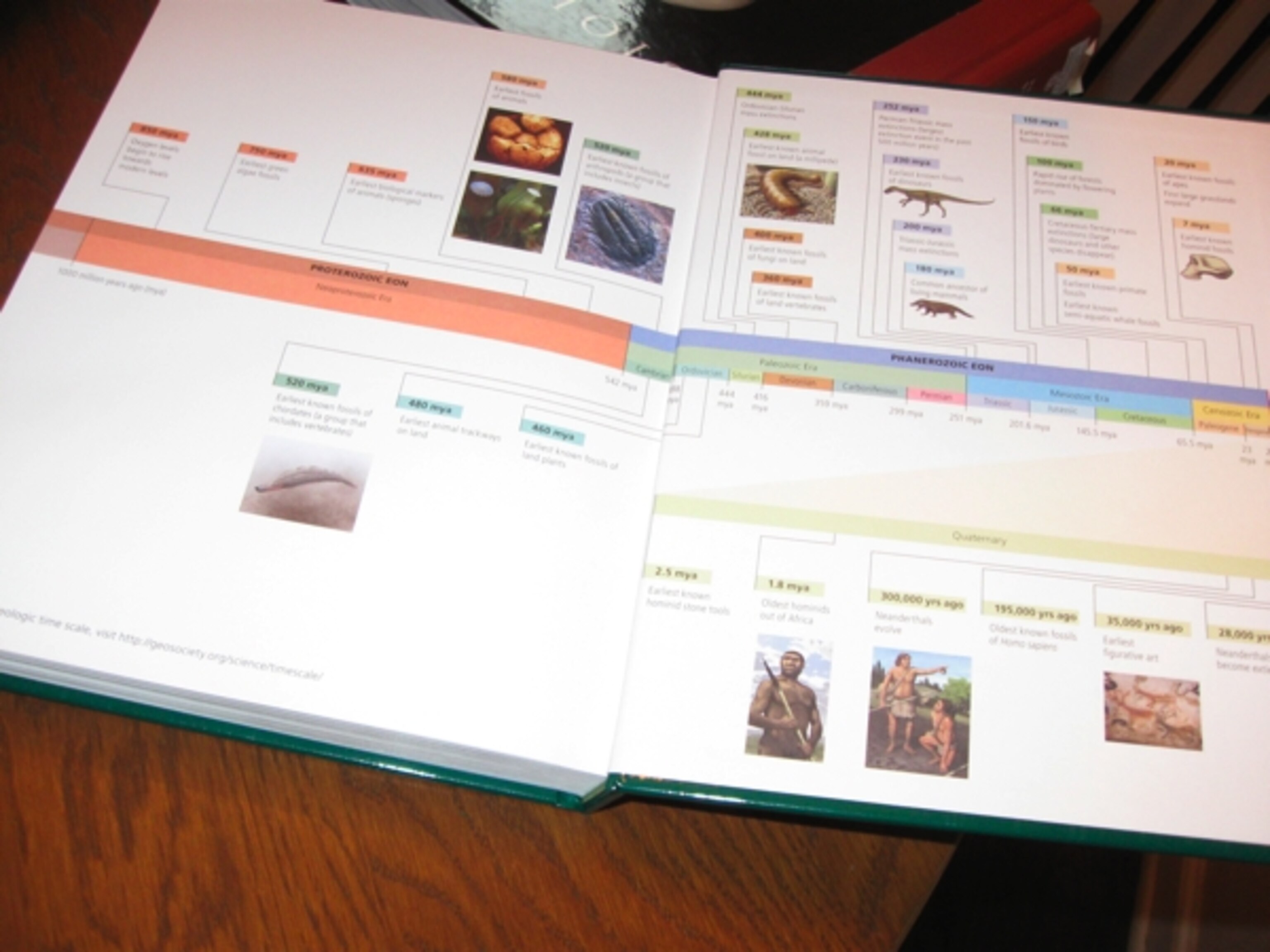 Pictures From A Proud Book Papa | National Geographic