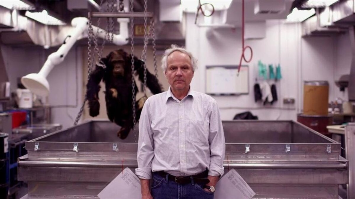 Life After Death: Bruno Frohlich | Innovators | National Geographic