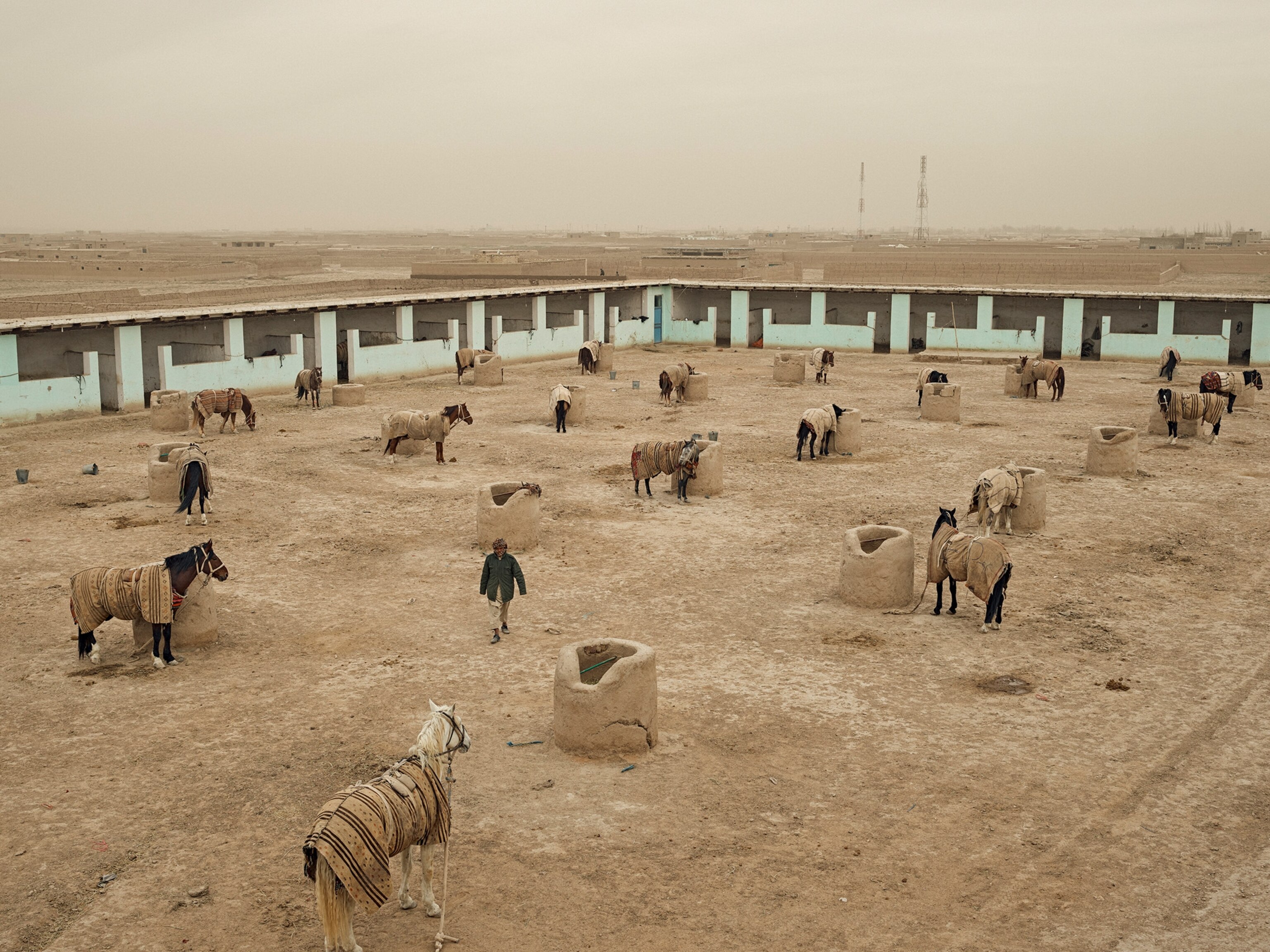 Trouble lurks for Afghanistan’s beloved ‘goat grabbing’ national sport