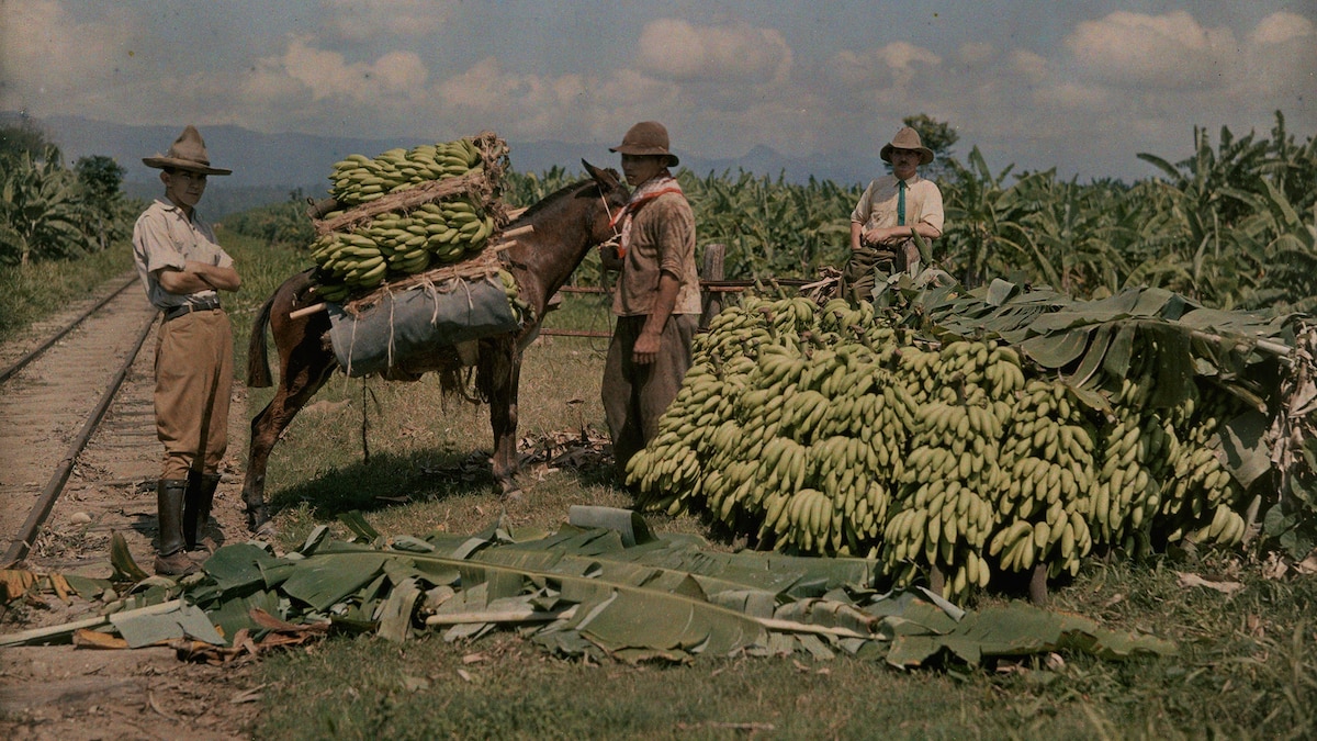 Fruits of Our Labor: 15 Pictures of Fall Harvest | National Geographic