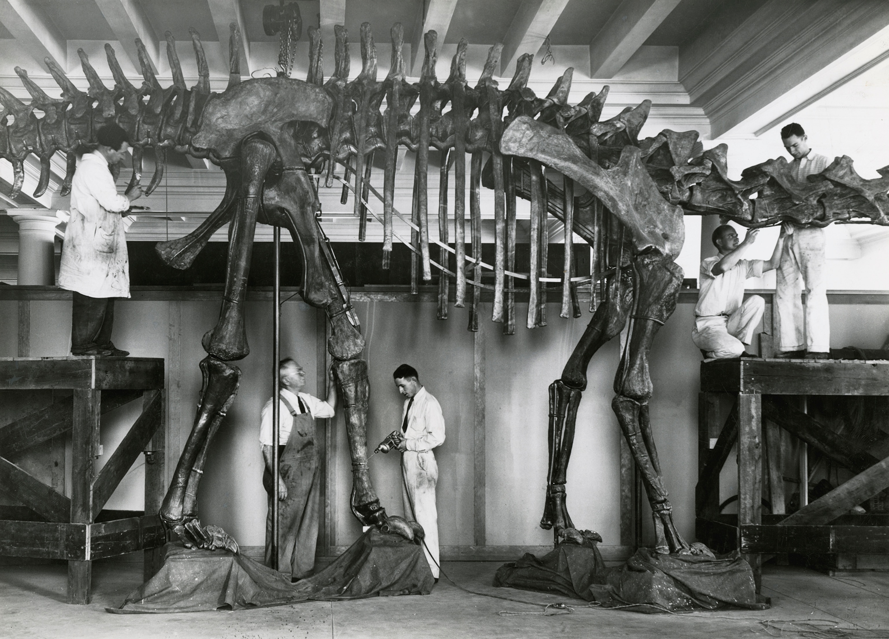 Pictures: Stunning Fossils on National Fossil Day | National Geographic