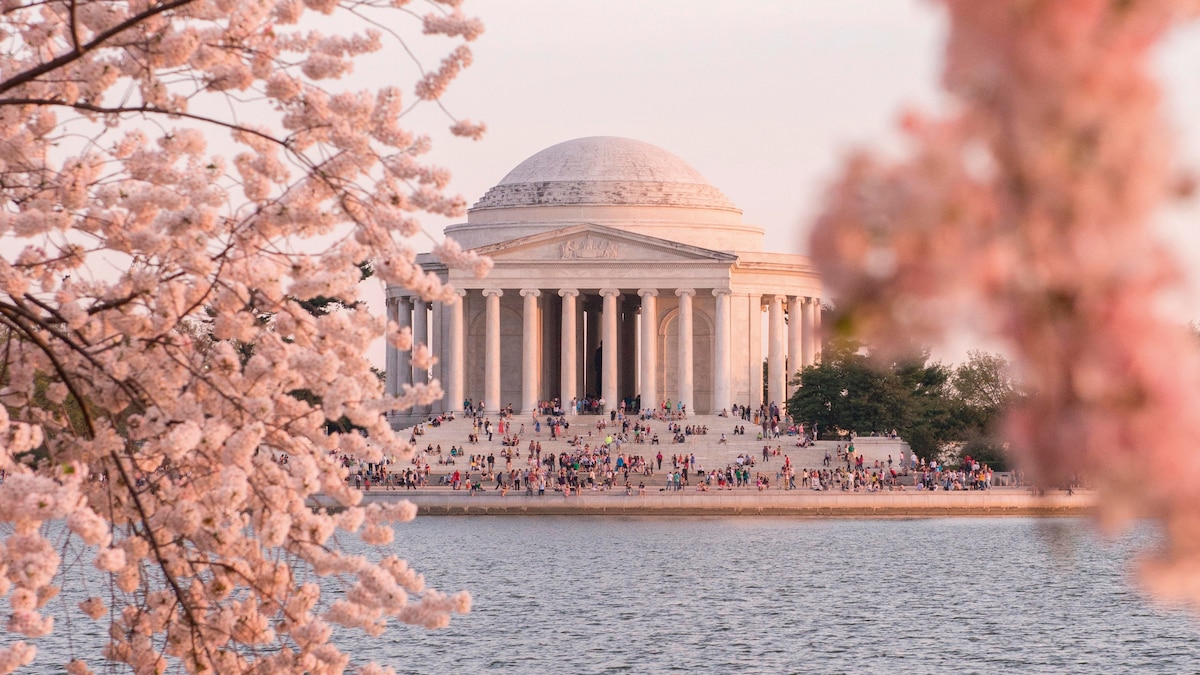 What to see and do in Washington DC in spring | National Geographic