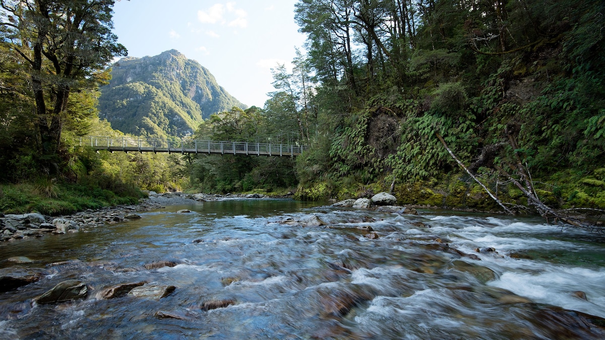 10 "Great Walks" of New Zealand: Beaches, Forest, and Mountains By Foot ...