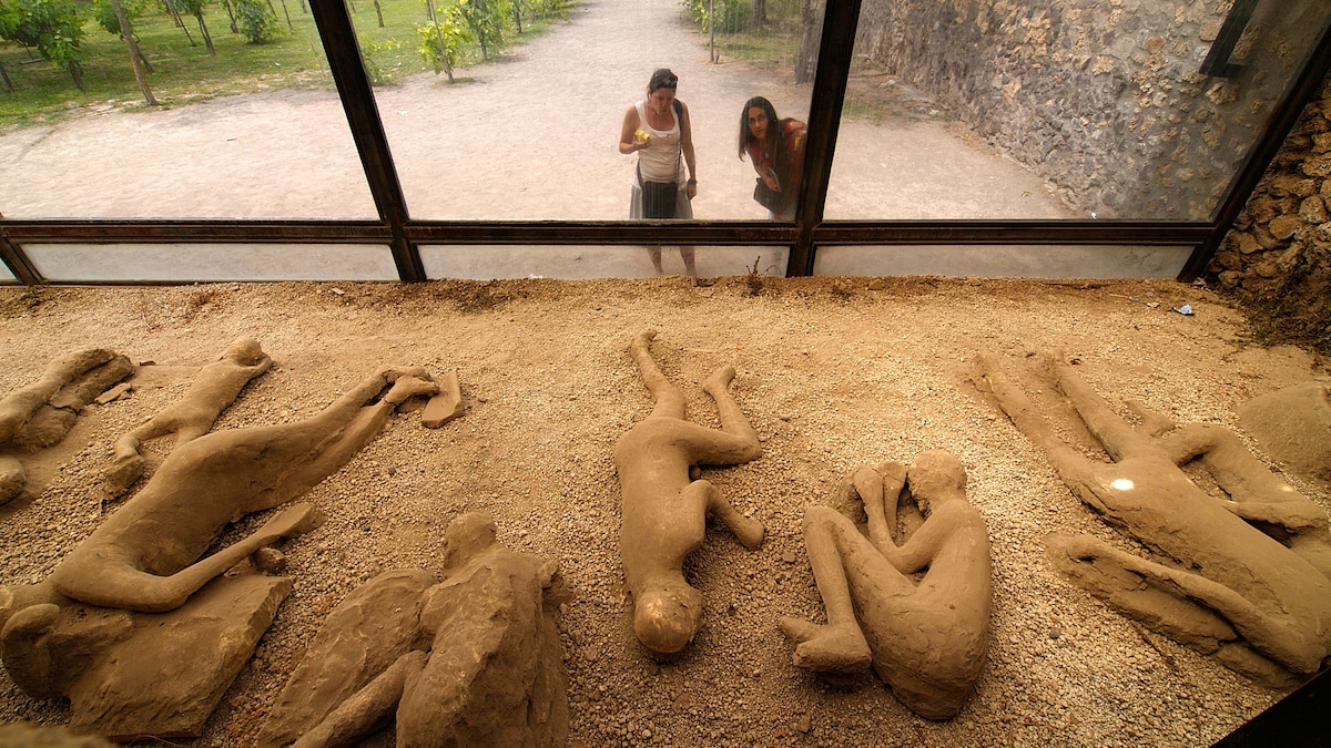Did Mount Vesuvius’ ash cloud really transform a brain into glass ...