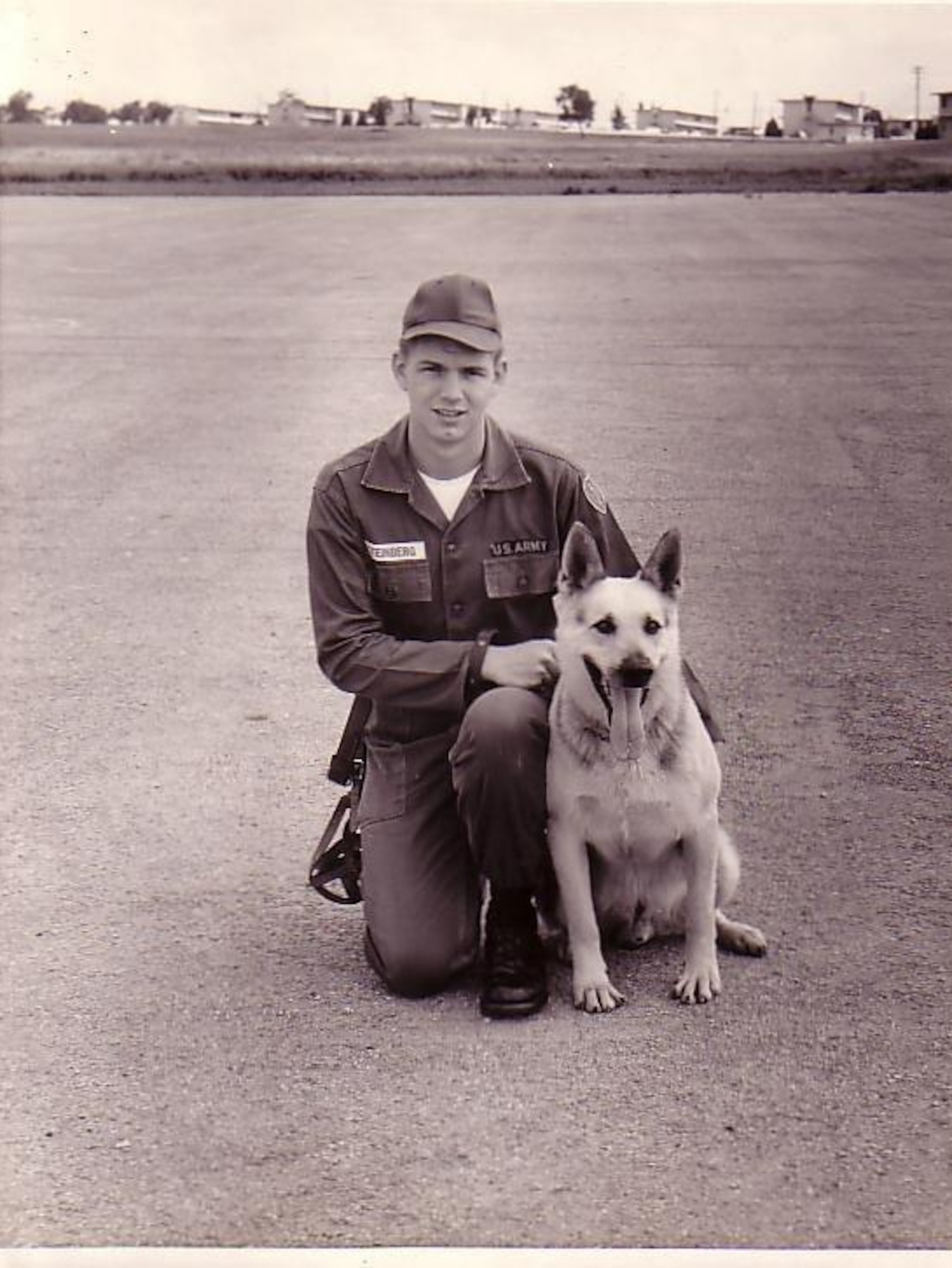 Hero Dogs: More Than a Best Friend