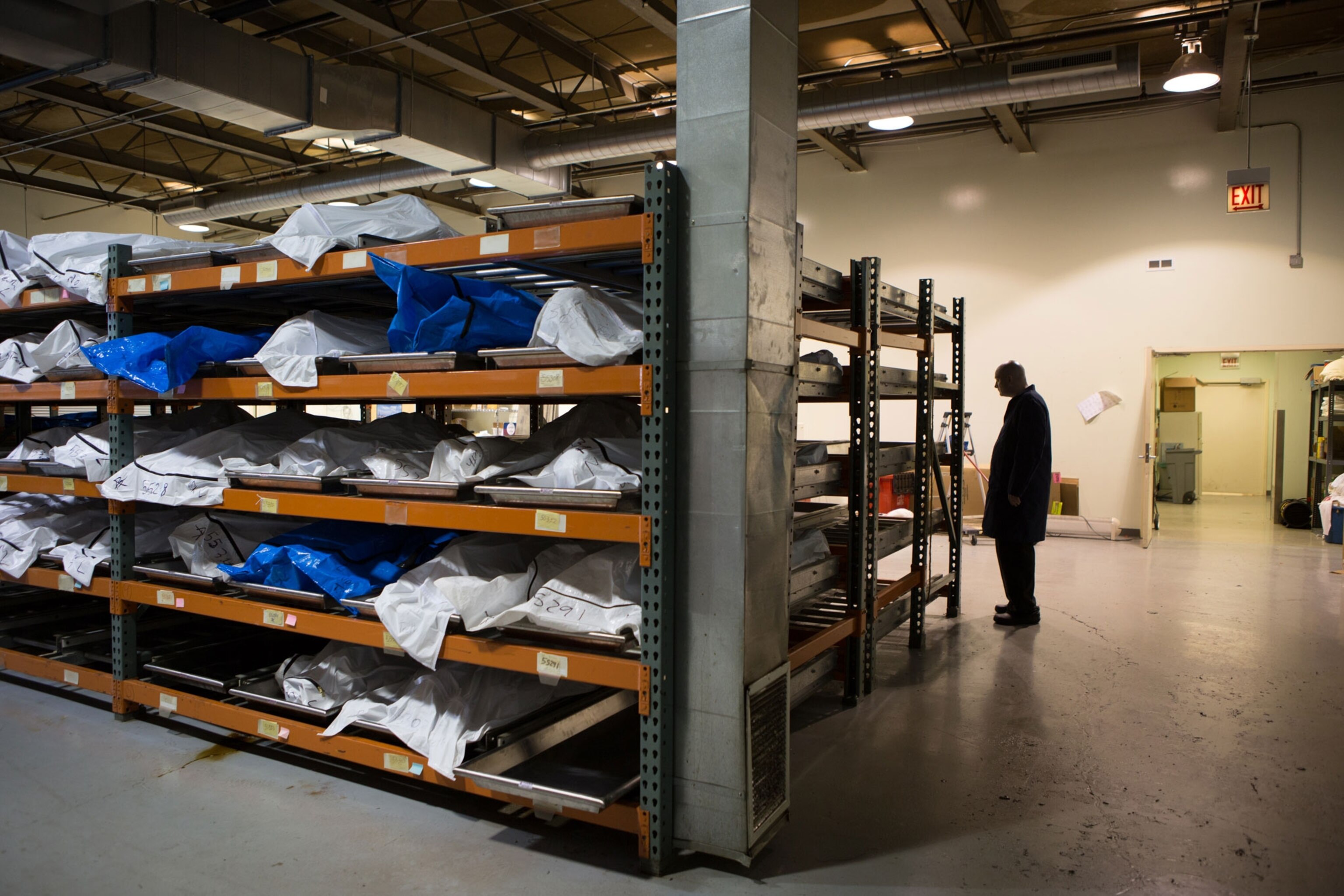 The Secret Lives of Cadavers