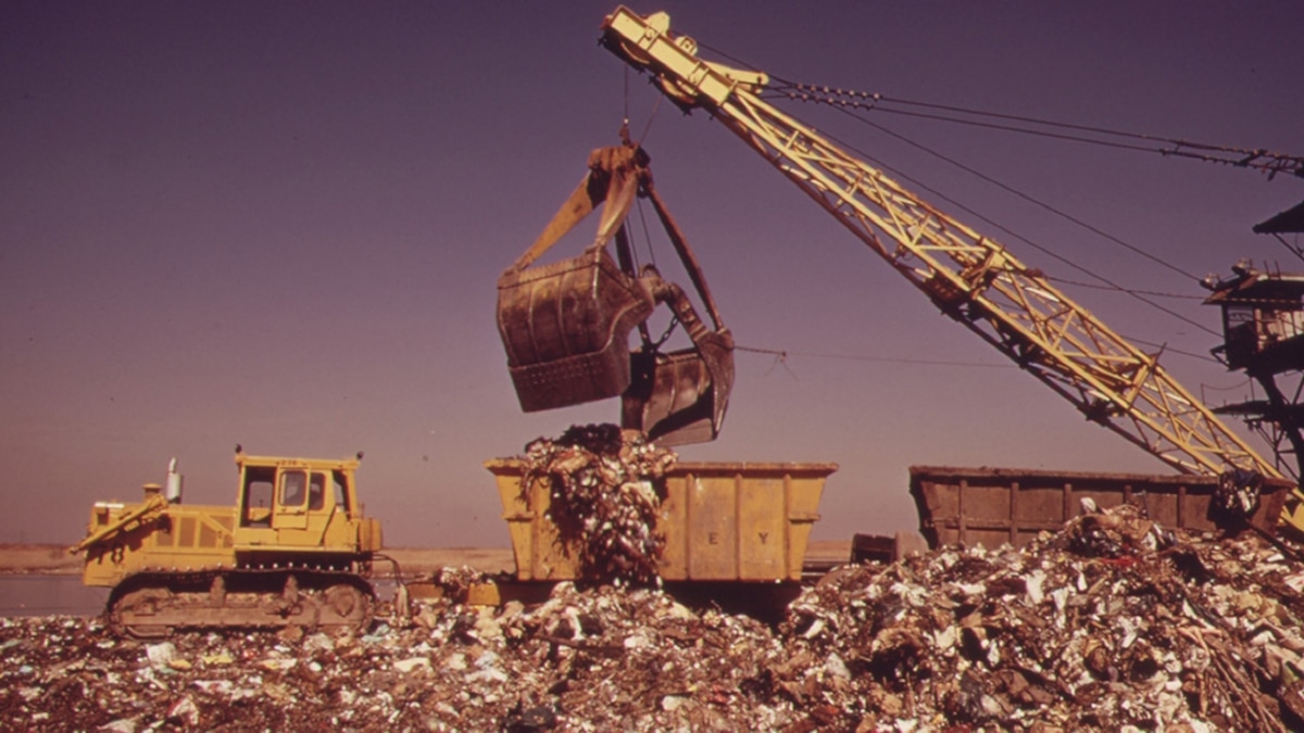 The Case for Junk DNA | National Geographic