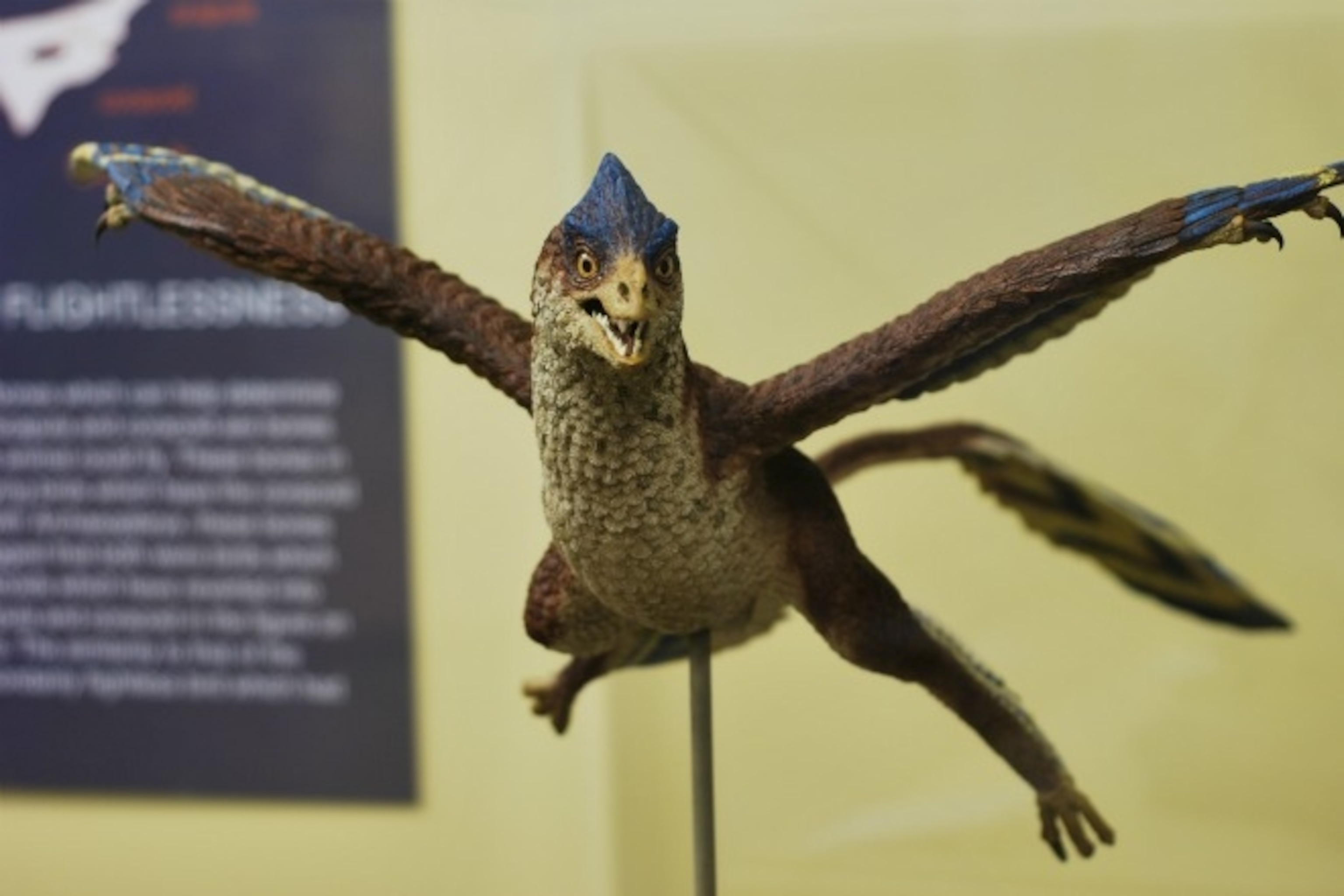 Friday Photos: Dinosaur Museum