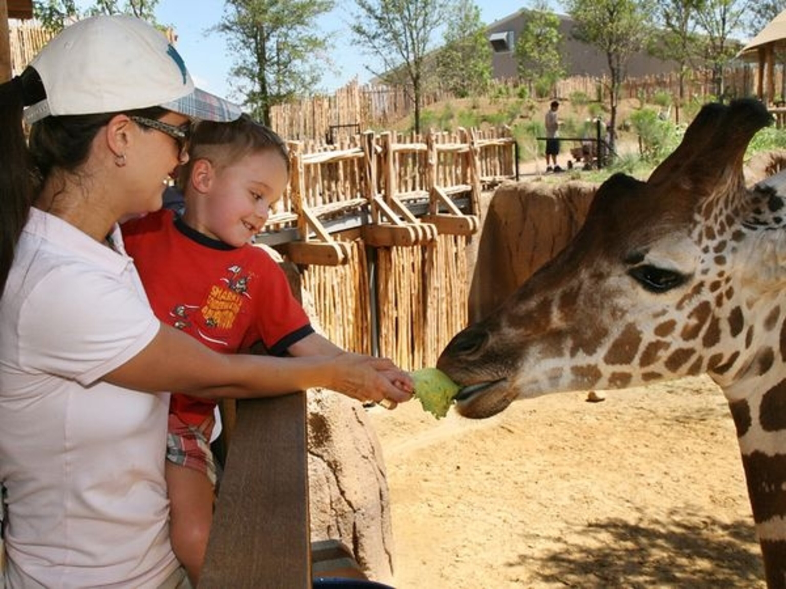 Best Places to Interact With Animals in the U.S. -- National Geographic ...