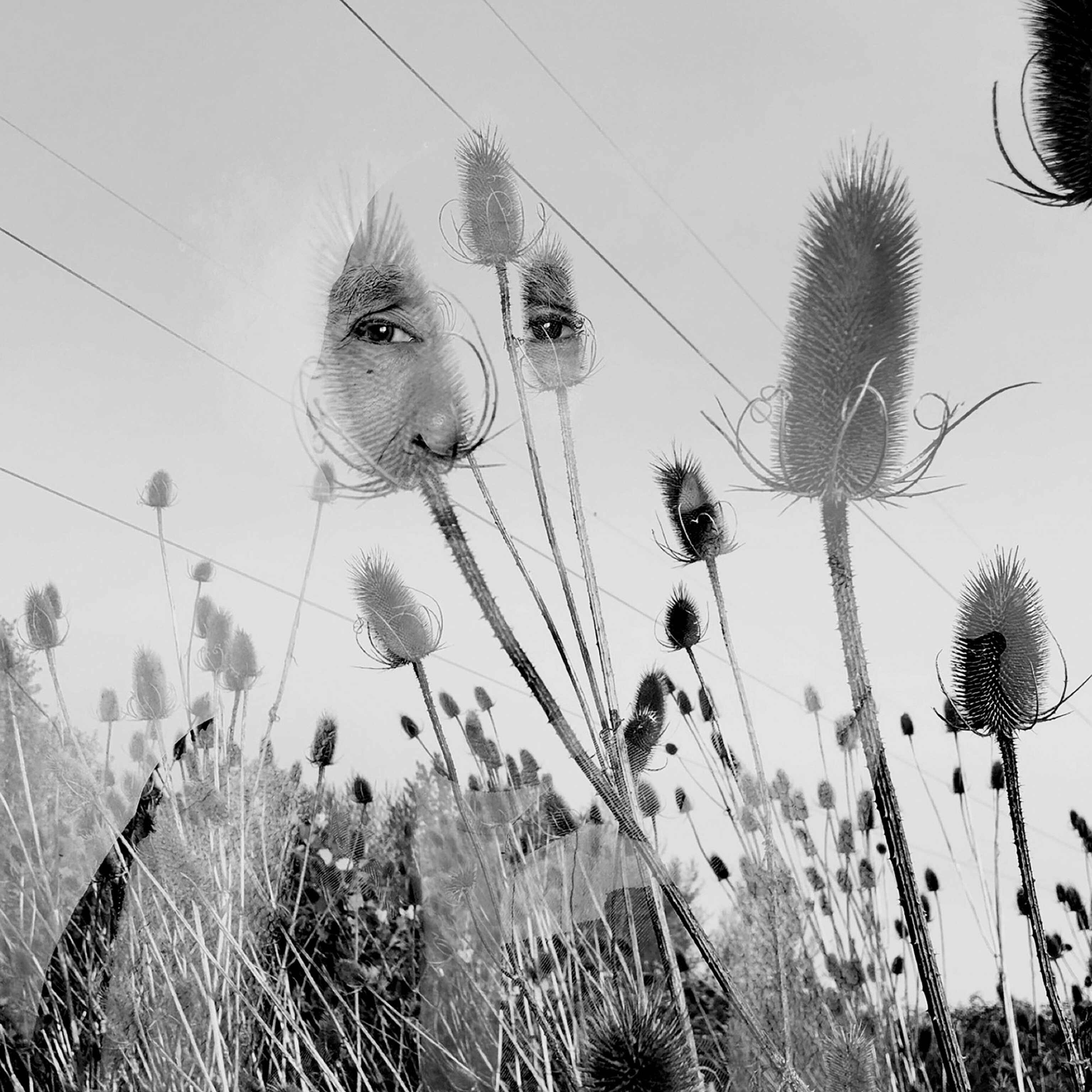They were taken from their families as children. Can that trauma be healed?
