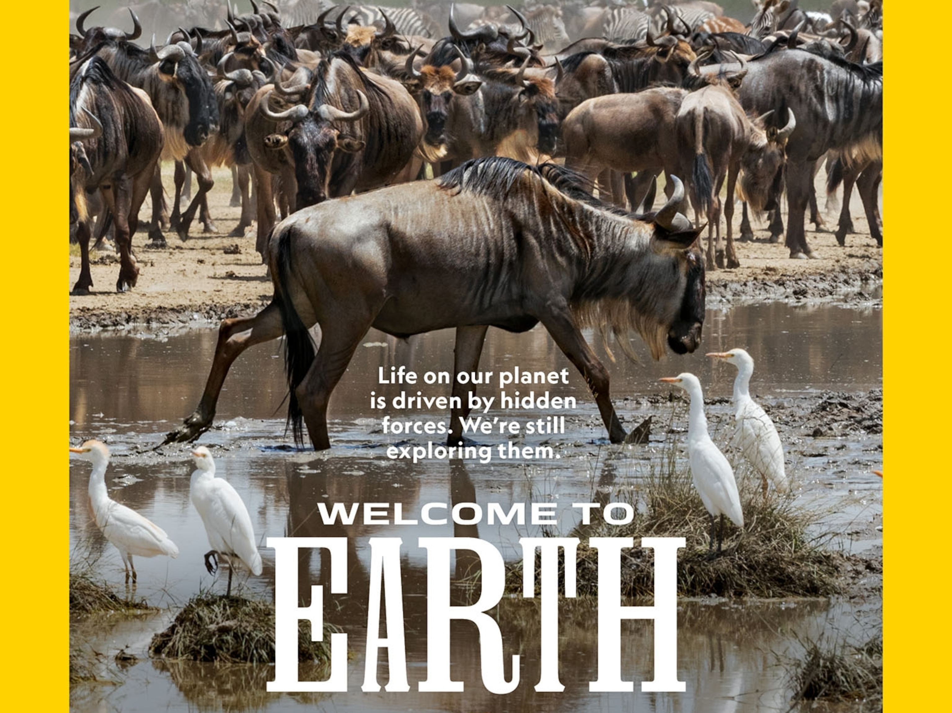 Stunning Images Show the Impact of Man on Nature