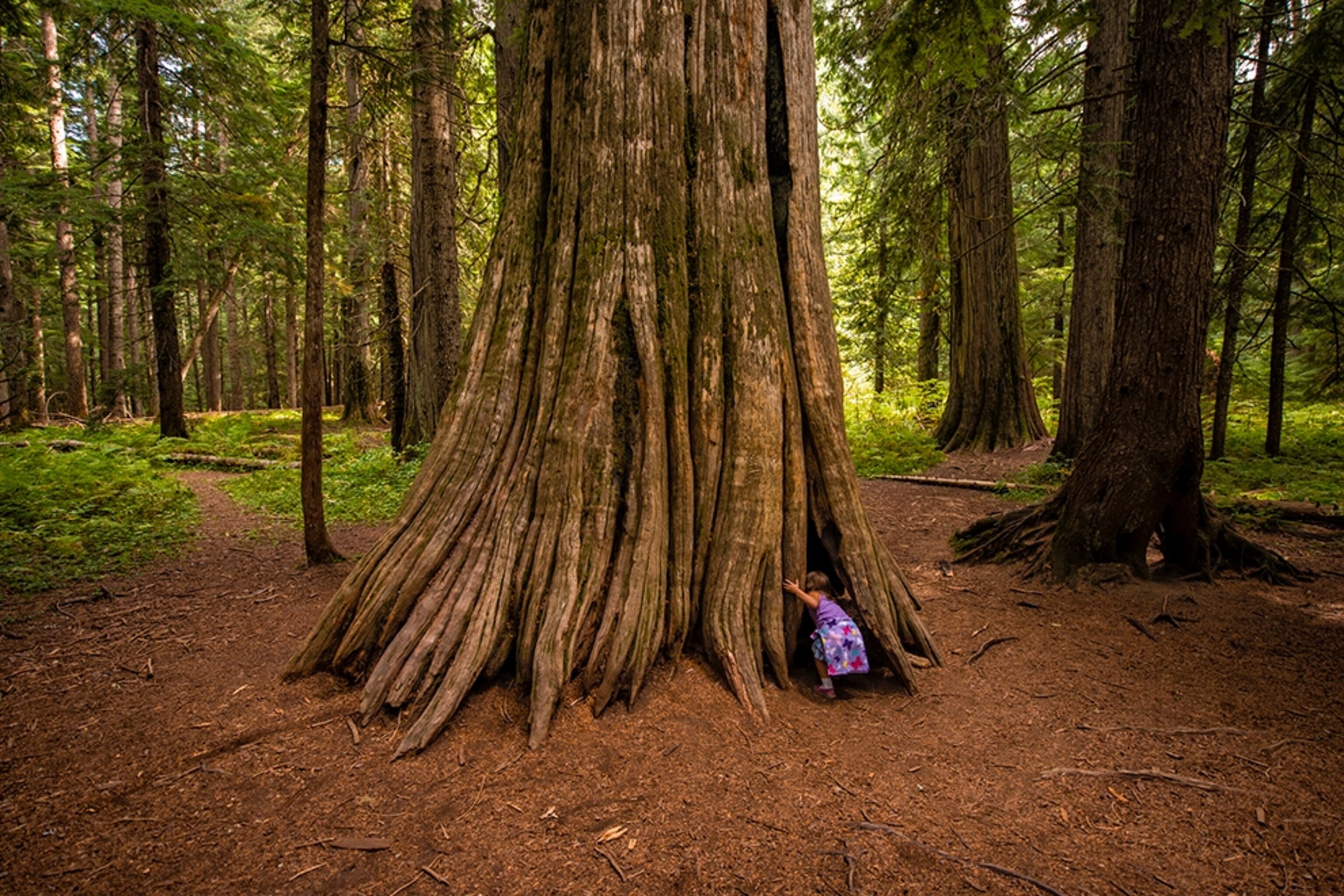 Best of Montana in Spring: Nature and Wildlife -- National Geographic