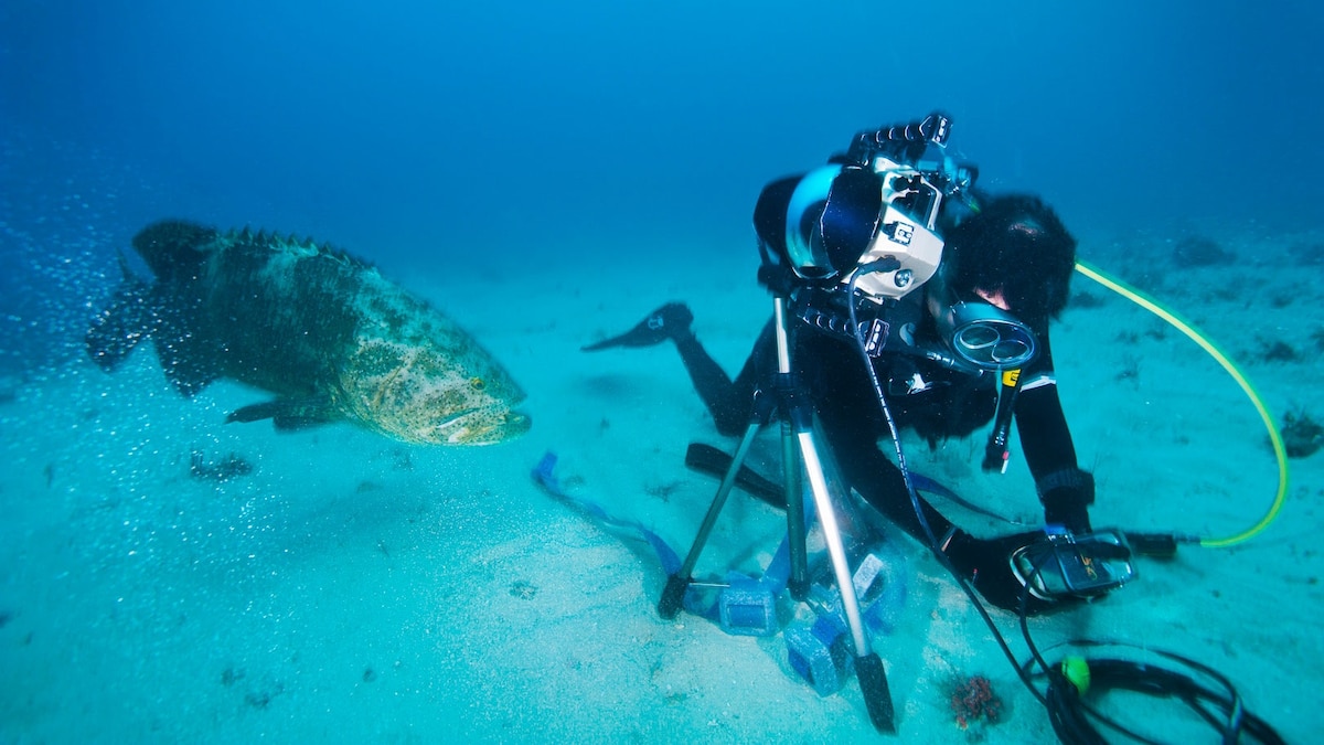 Nat Geo photographers take you behind the scenes of their favorite ...