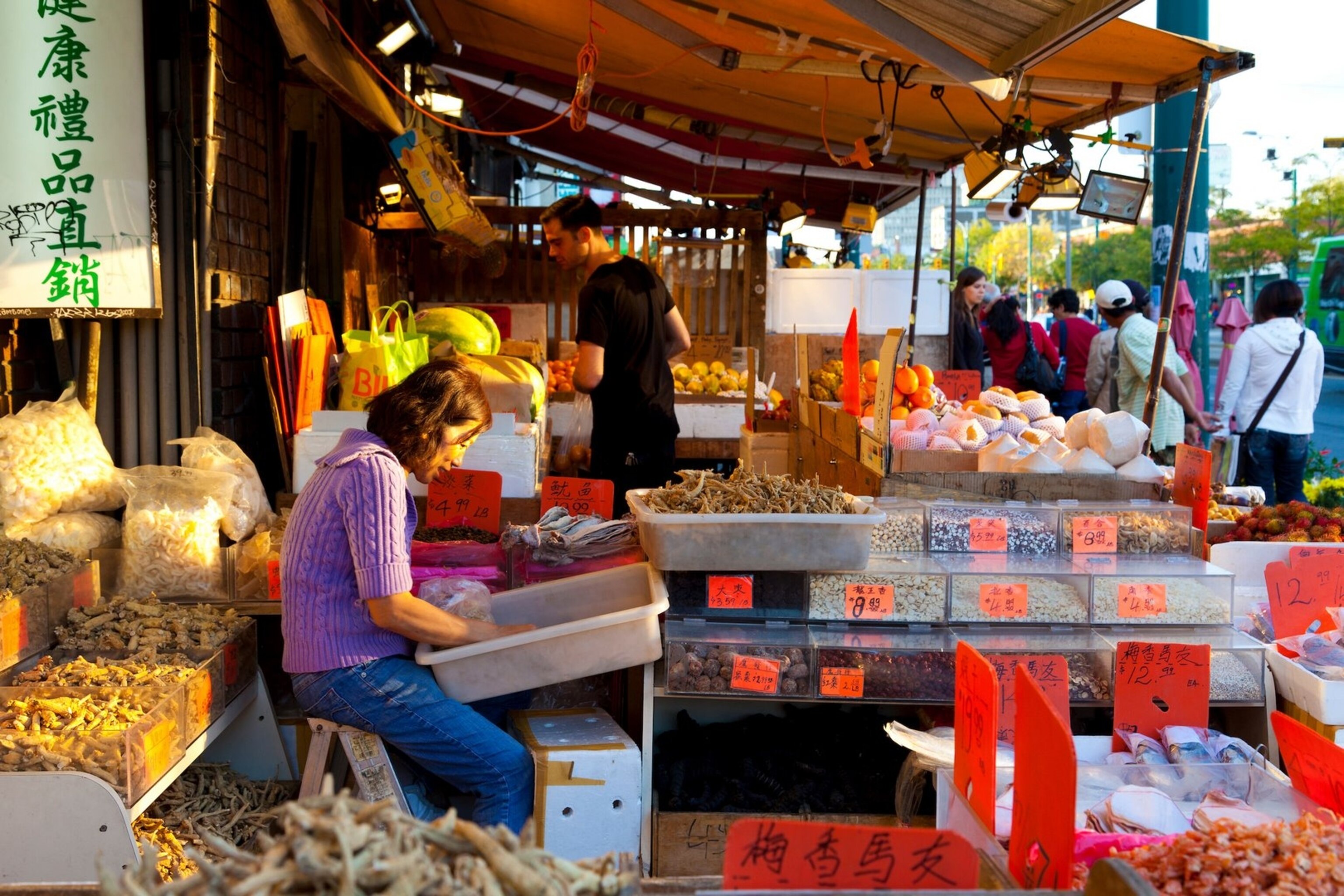 10 Local Things and Activities to do in Toronto, Canada