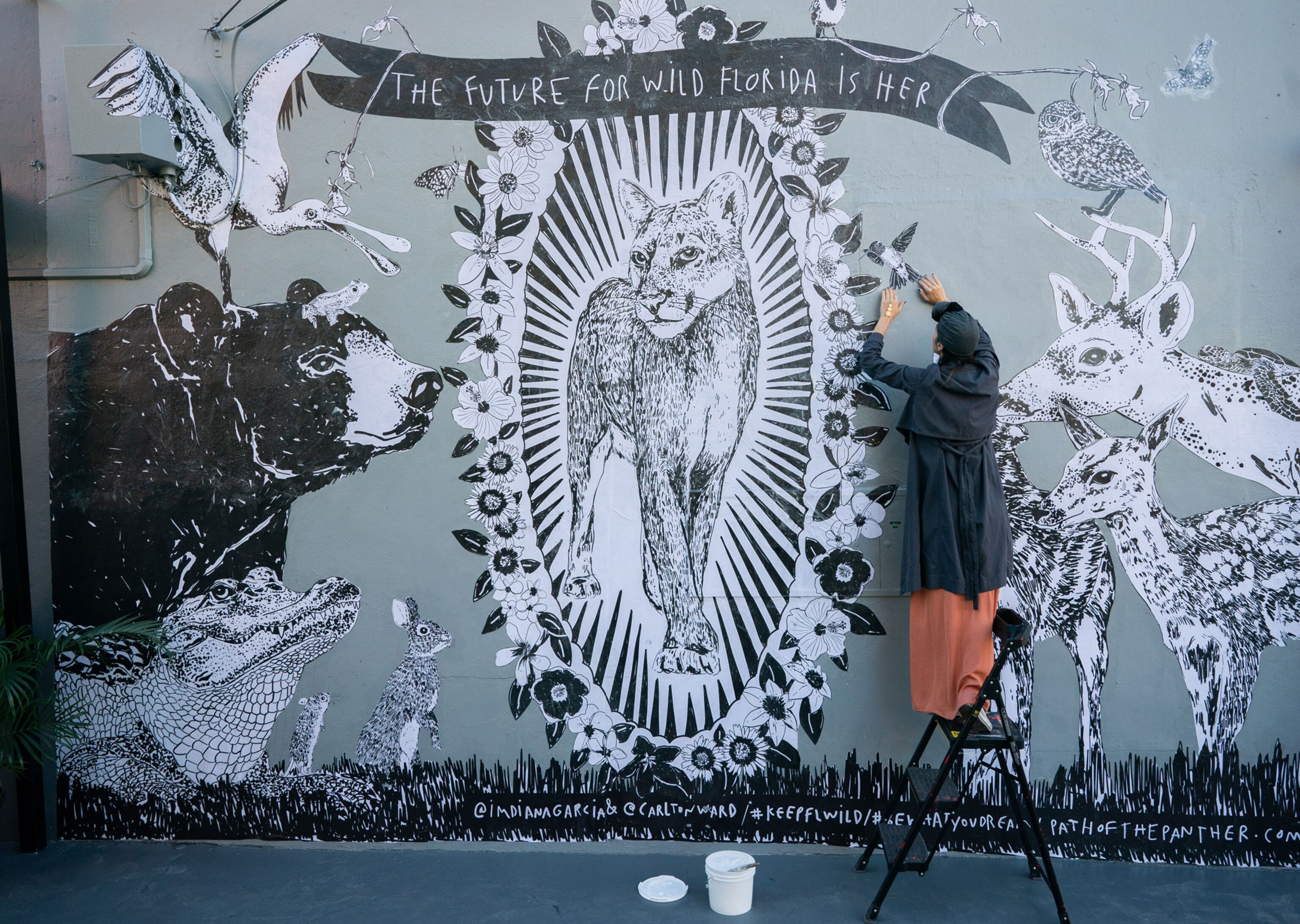 The history of the Florida panther, a symbol of reverence and revulsion