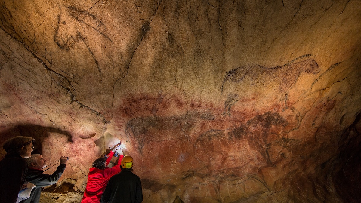 Q&A: Cave Art Older, More Widespread Than Thought, Archaeologist Says ...