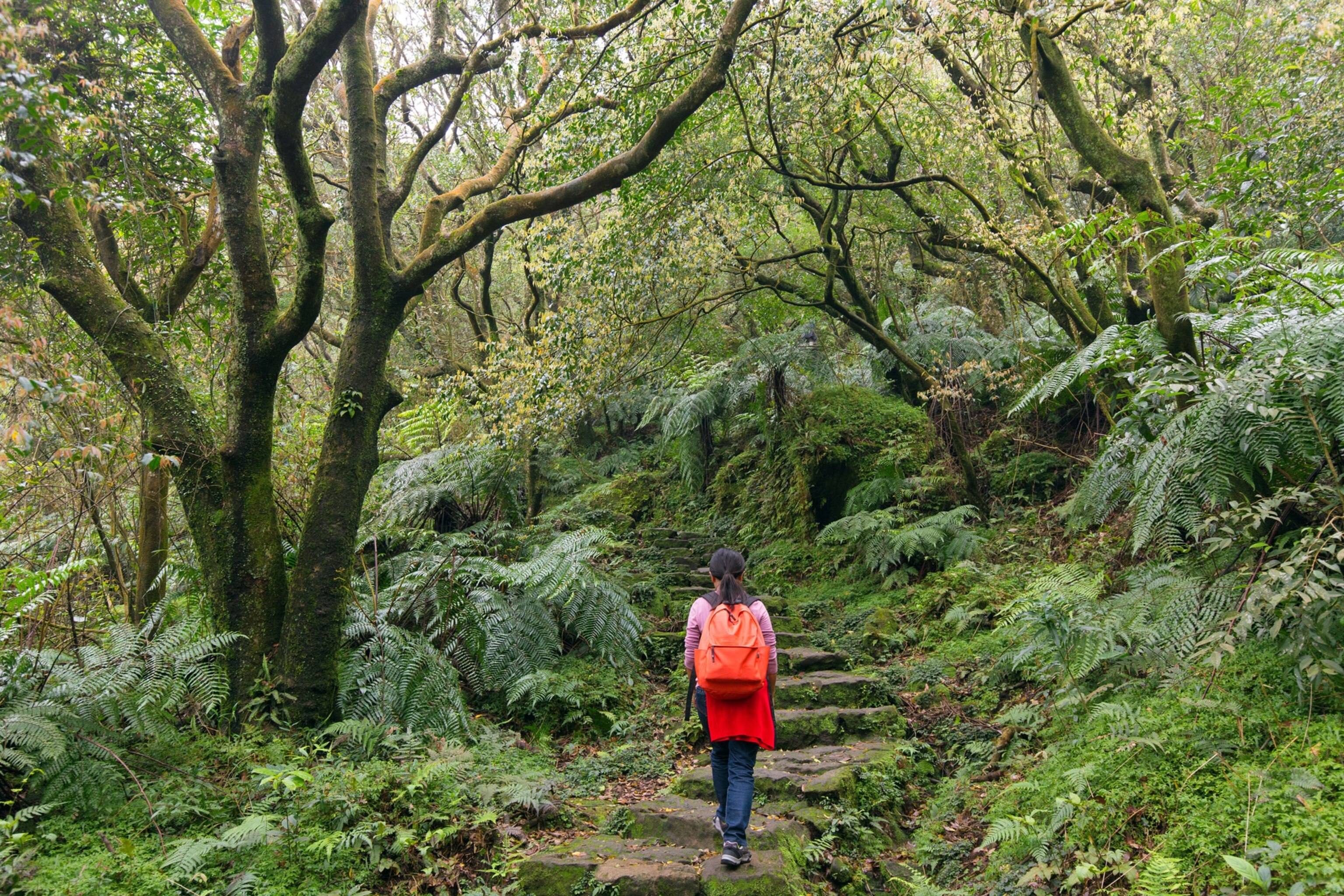 Discover the planet’s last few ‘naturally quiet’ places
