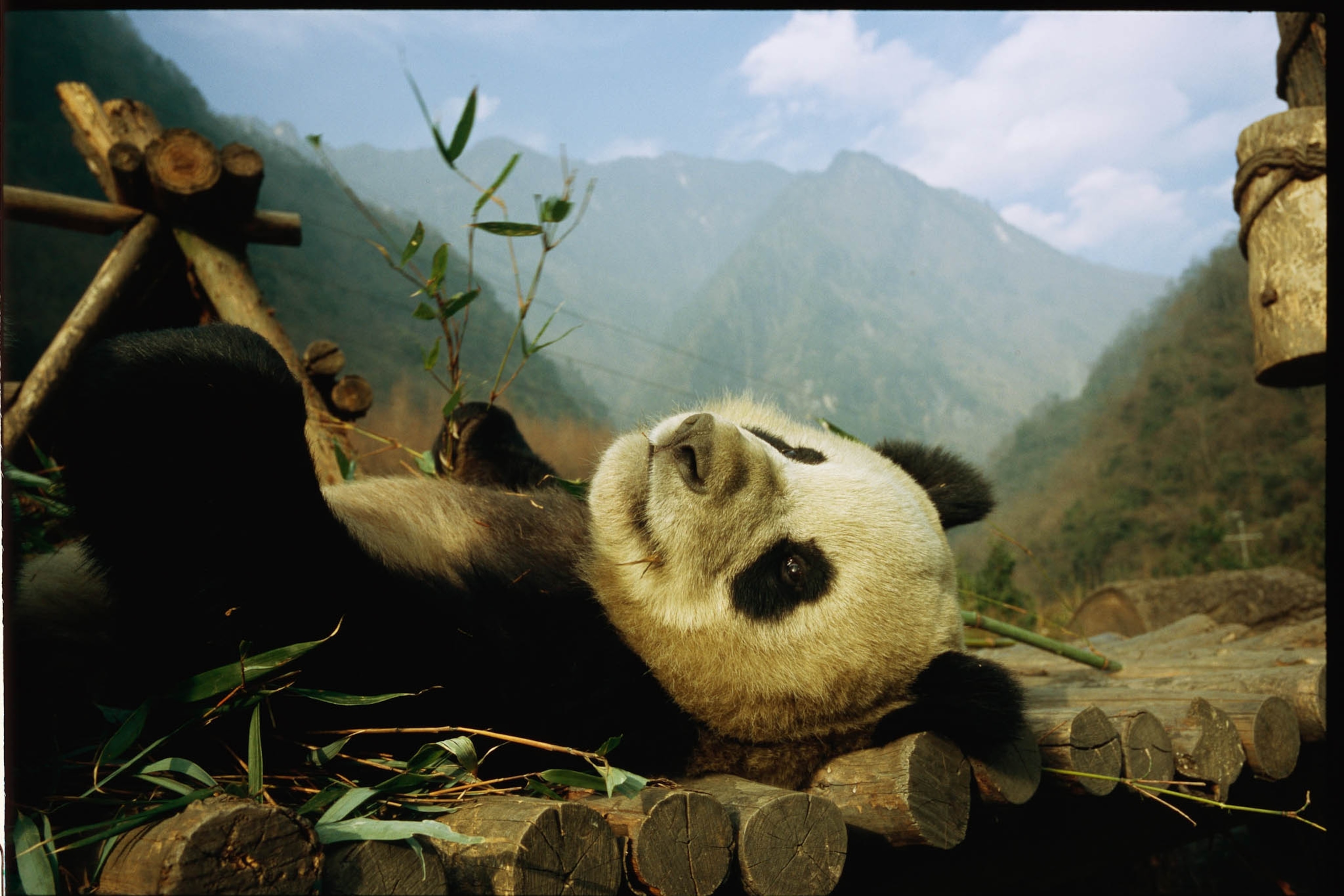 31 vintage images from the Nat Geo archives that take you back in time