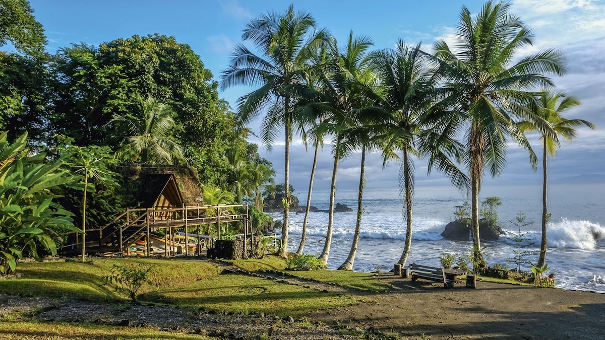 Colombia: Pulse of the jungle, call of the sea | National Geographic
