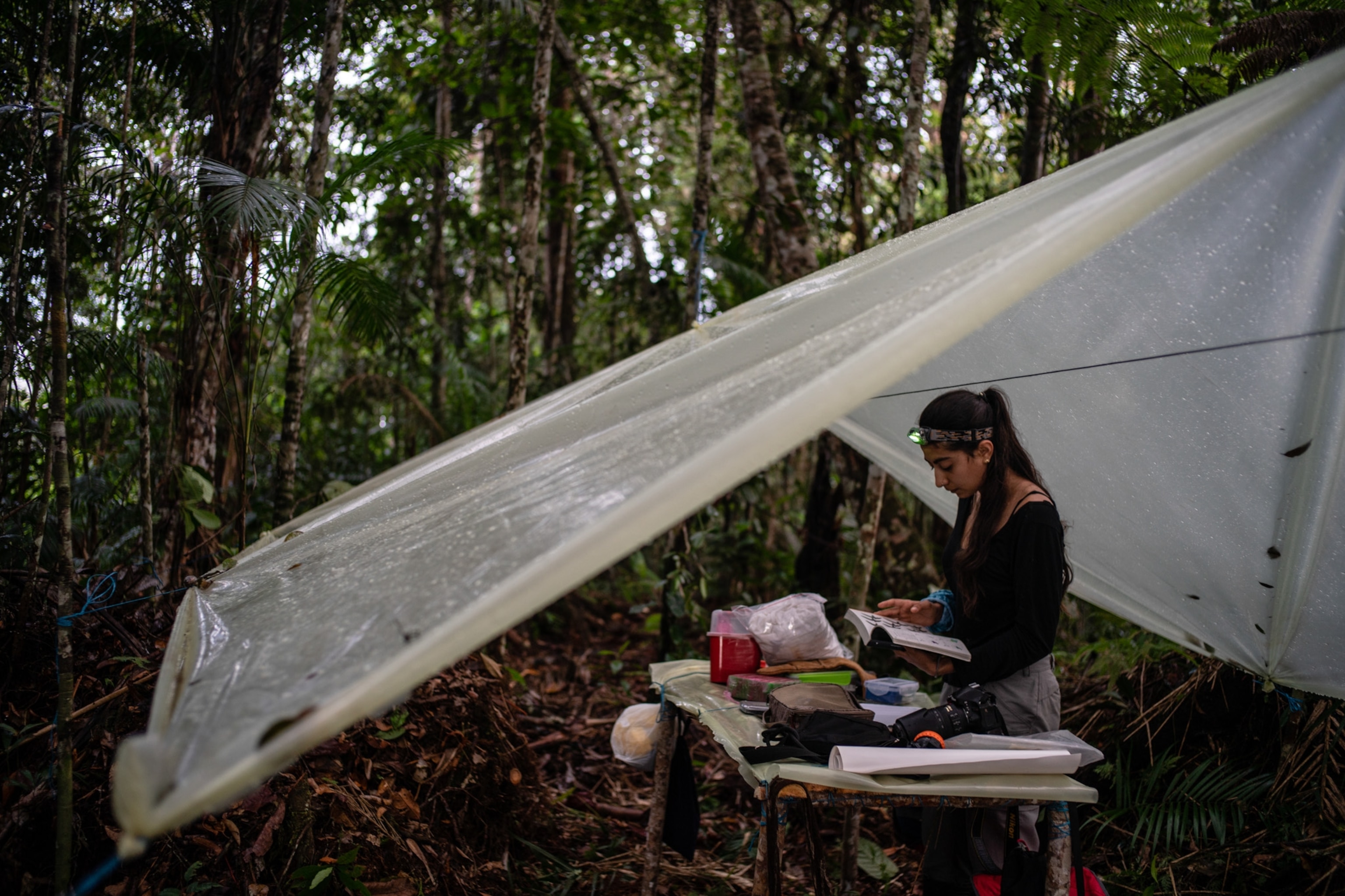 Scientists, Former FARC Rebels Explore Colombian Jungle Once Off-Limits ...