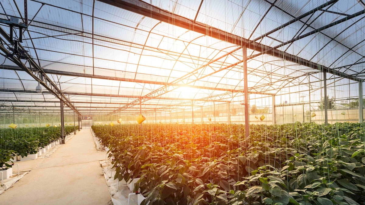 5 Ways Future Farms Could Feed Nine Billion (and more) | National ...