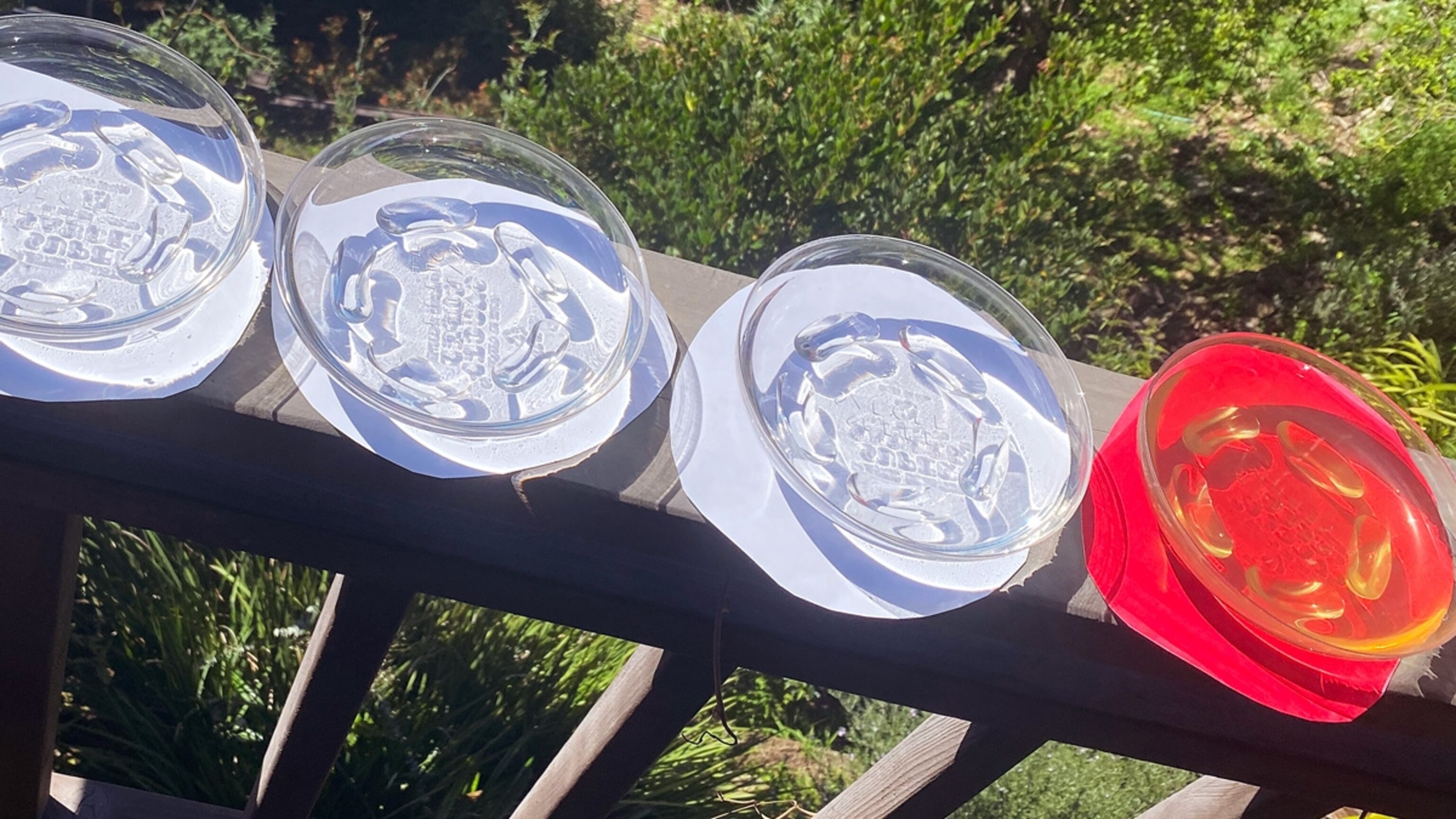 Science experiments that will make your kids’ curiosity bloom