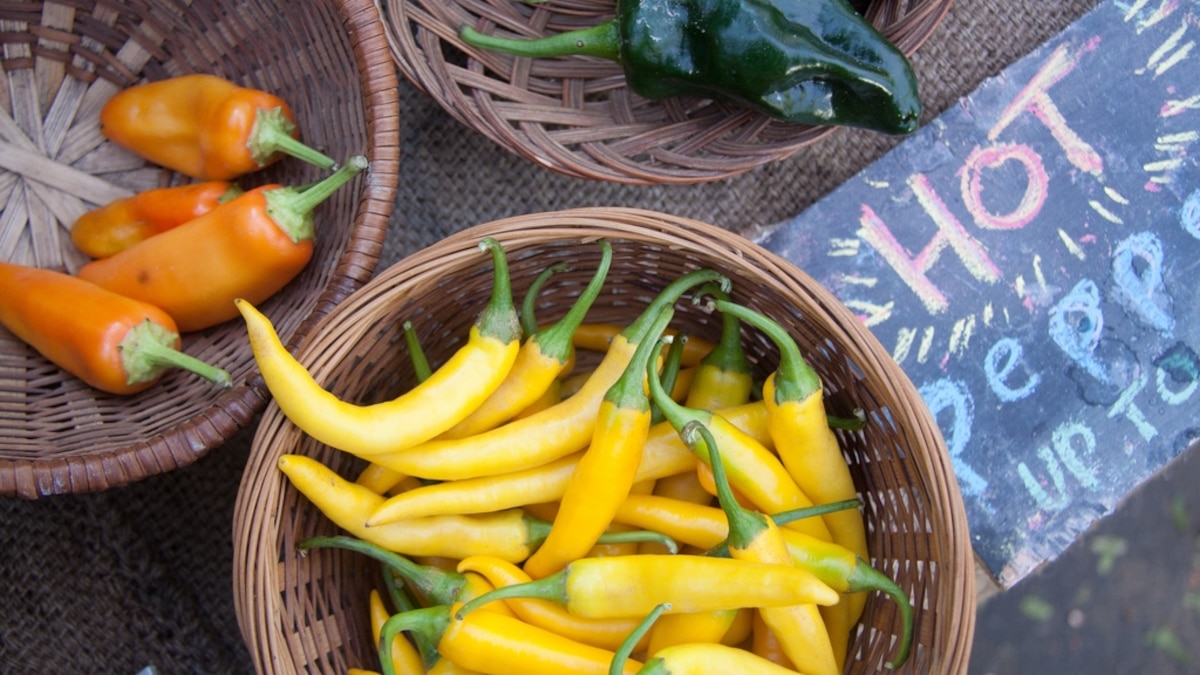 Peppers: Can You Take the Heat? | National Geographic
