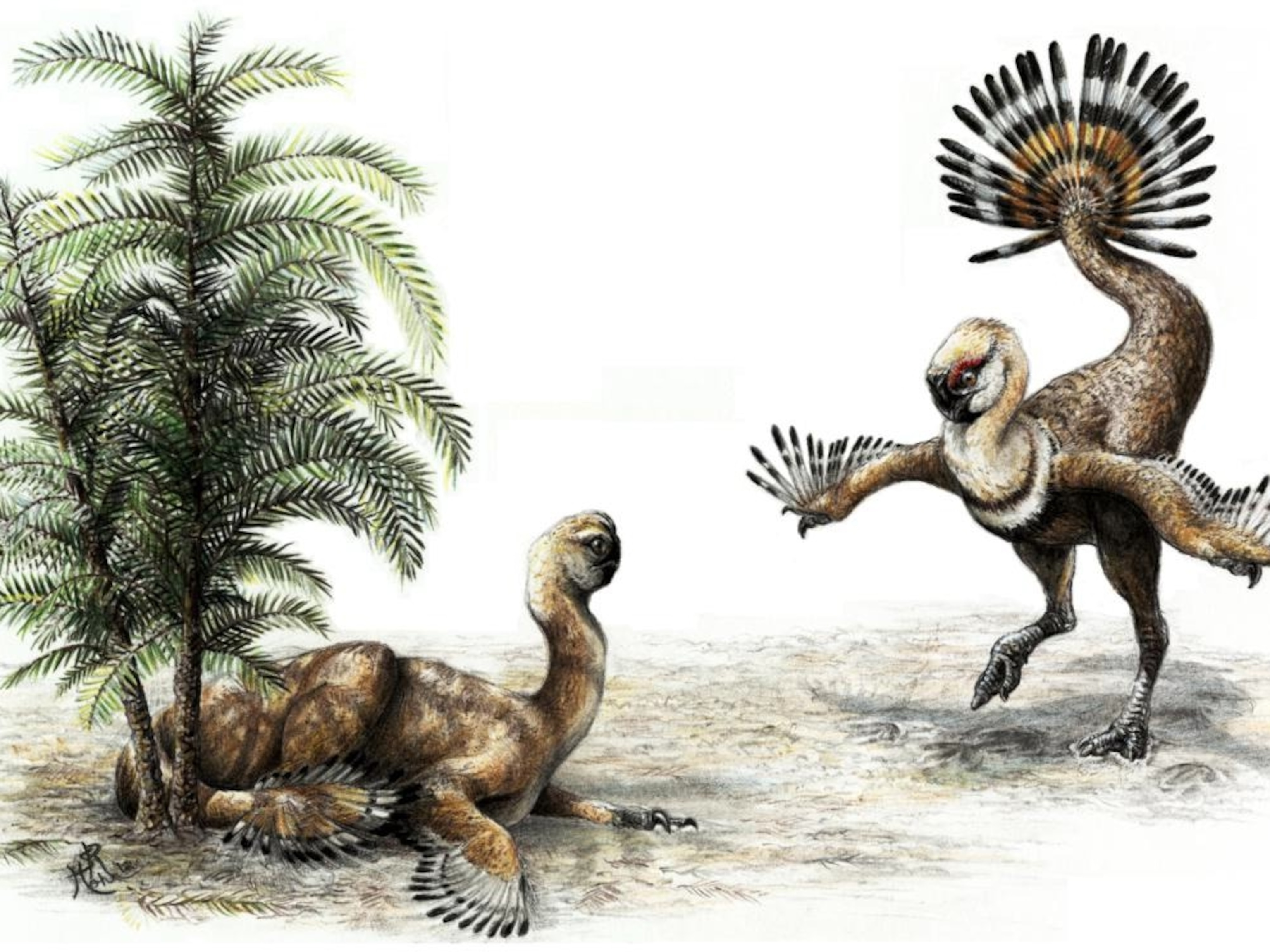 Khaan Dinosaur