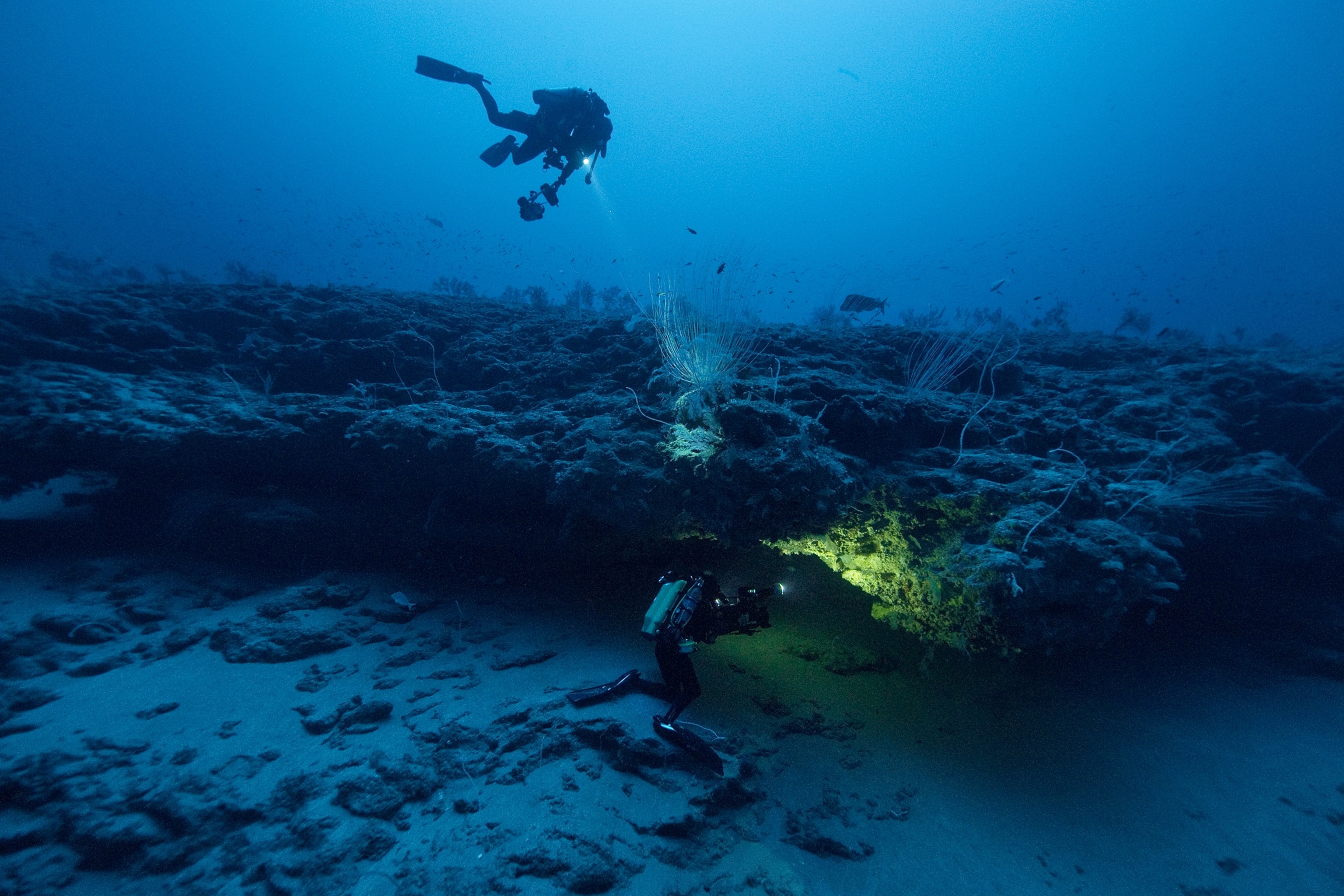 Ancient Swimmers