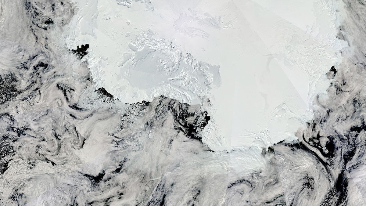 Microbes Discovered in Subglacial Antarctic Lake May Hint at Life in ...
