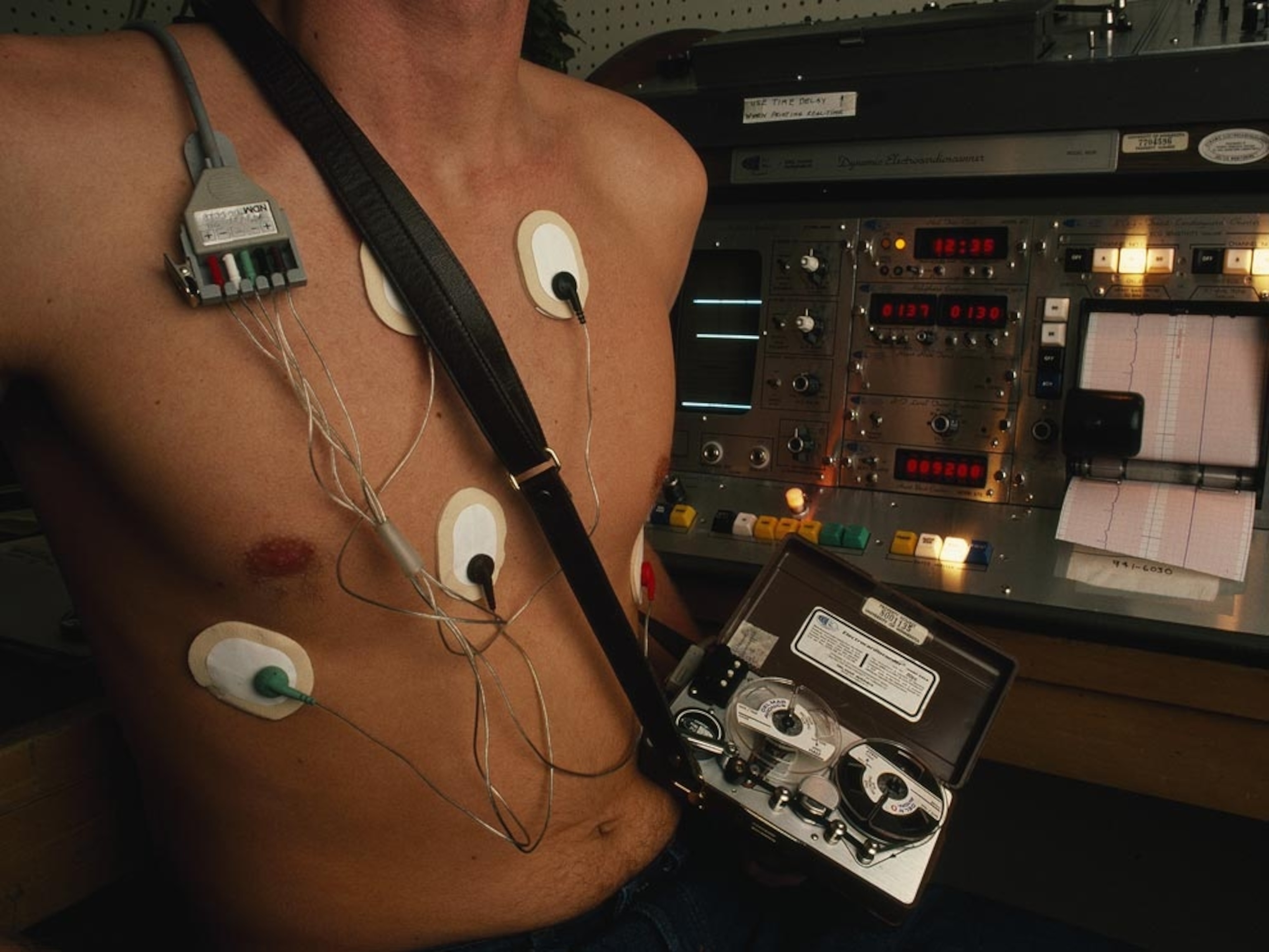 Heart Information, Facts, Photos | National Geographic