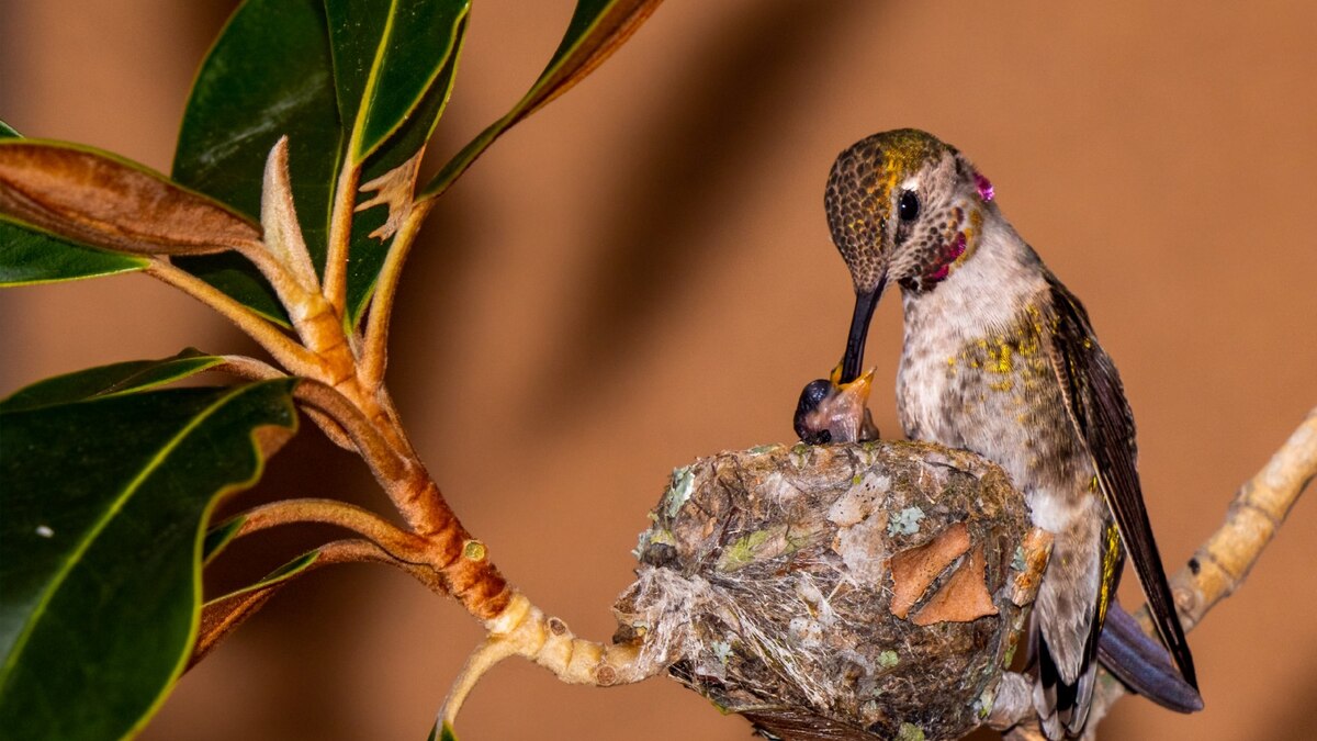 Your best photos of the week, February 15, 2019 | National Geographic