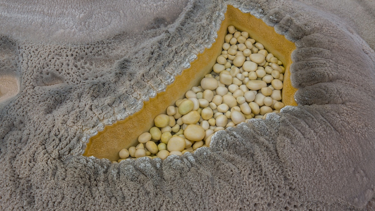 Cracking the Secrets of Old Faithful's Geyser Eggs | National Geographic