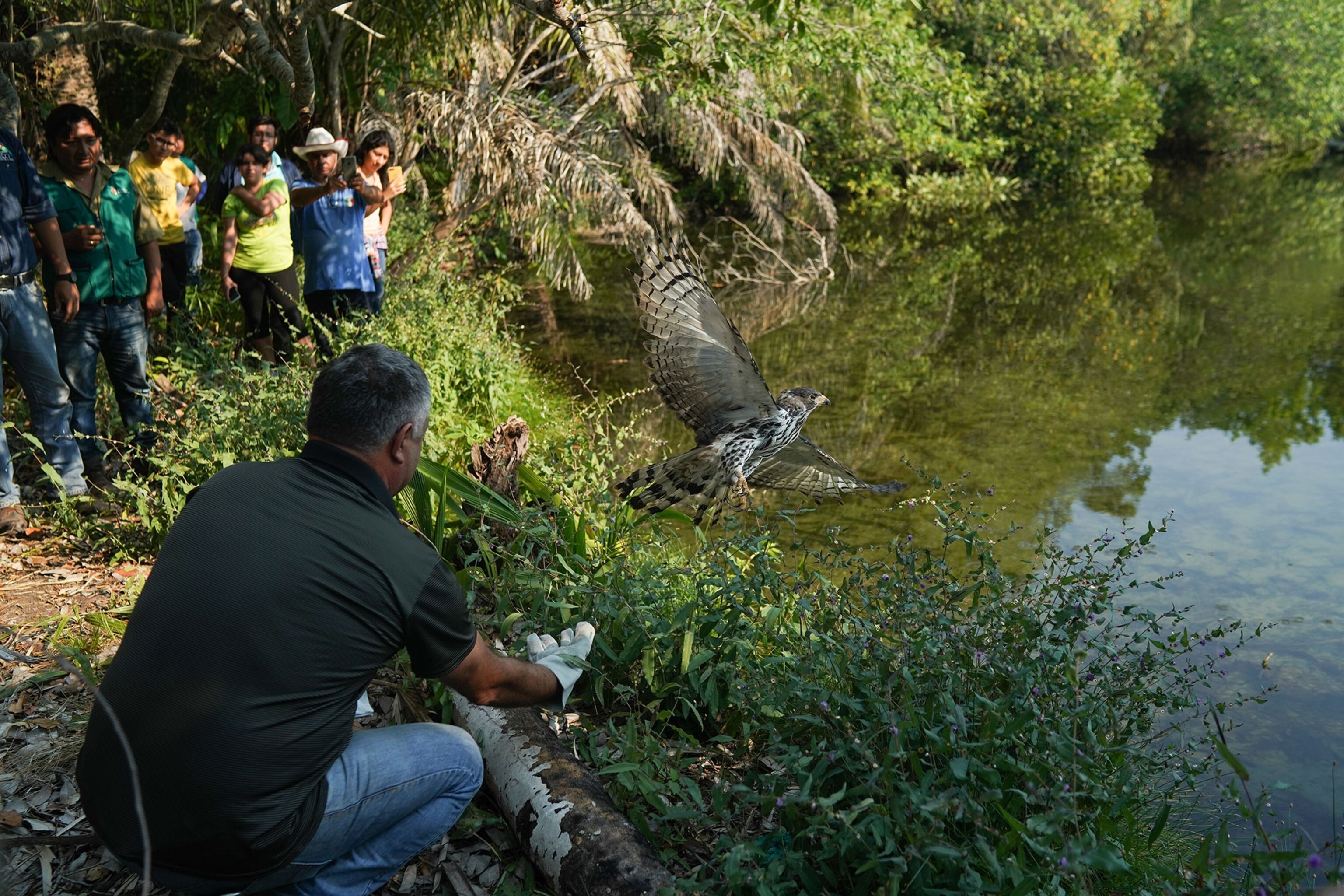 Inside the efforts to help animals hurt by the Amazon fires