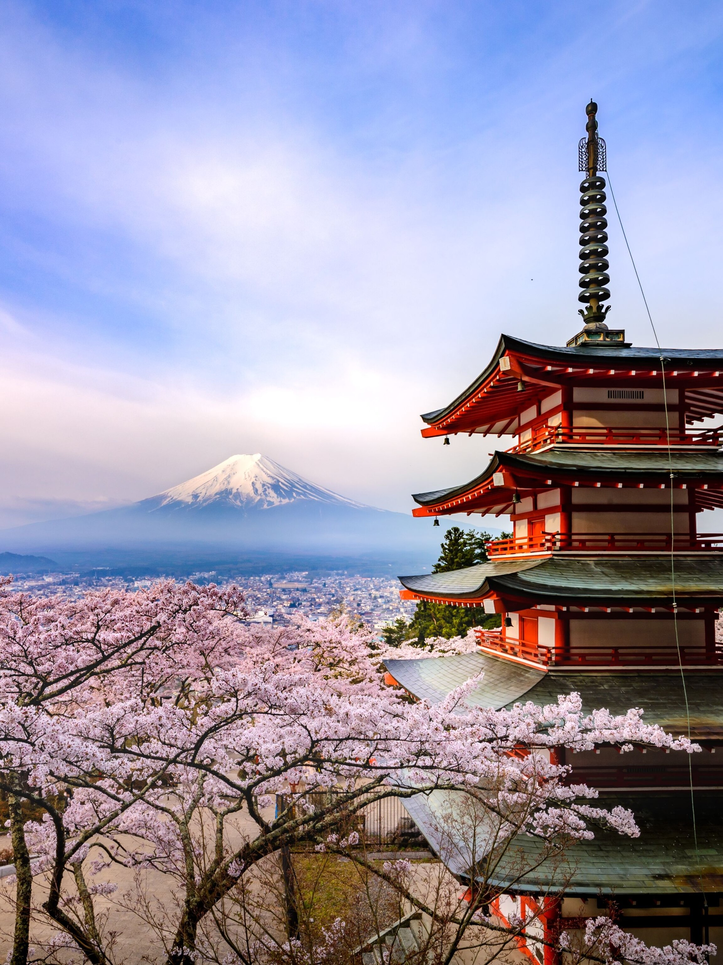 Your Shot's Best Photos of 2018