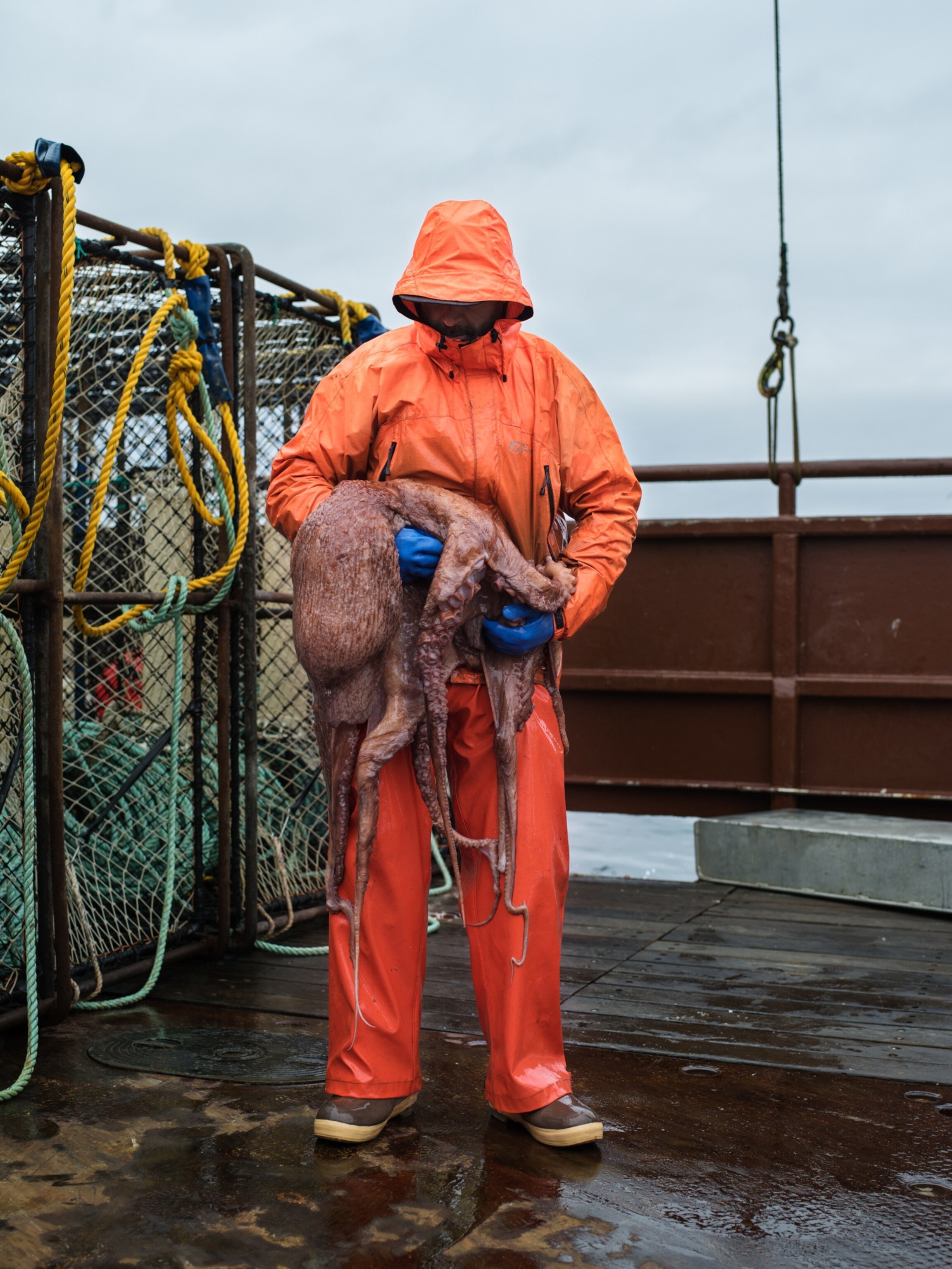 The Bering Sea, Where Humans and Nature Collide
